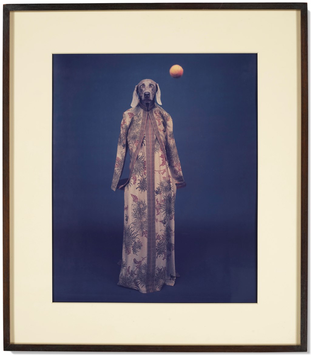 William Wegman (b. 1941), Dressed For | Christie’s