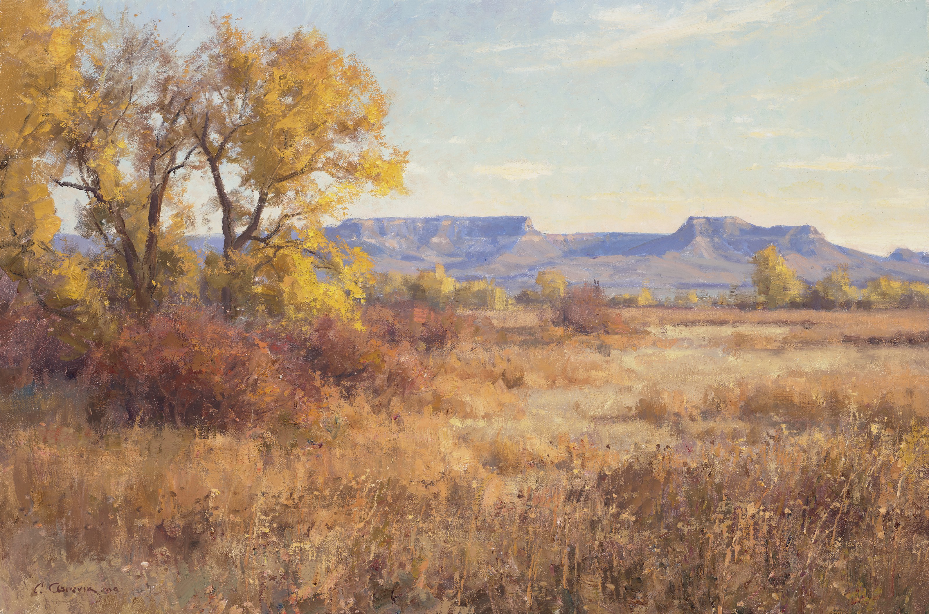 Clyde Aspevig (b. 1951)