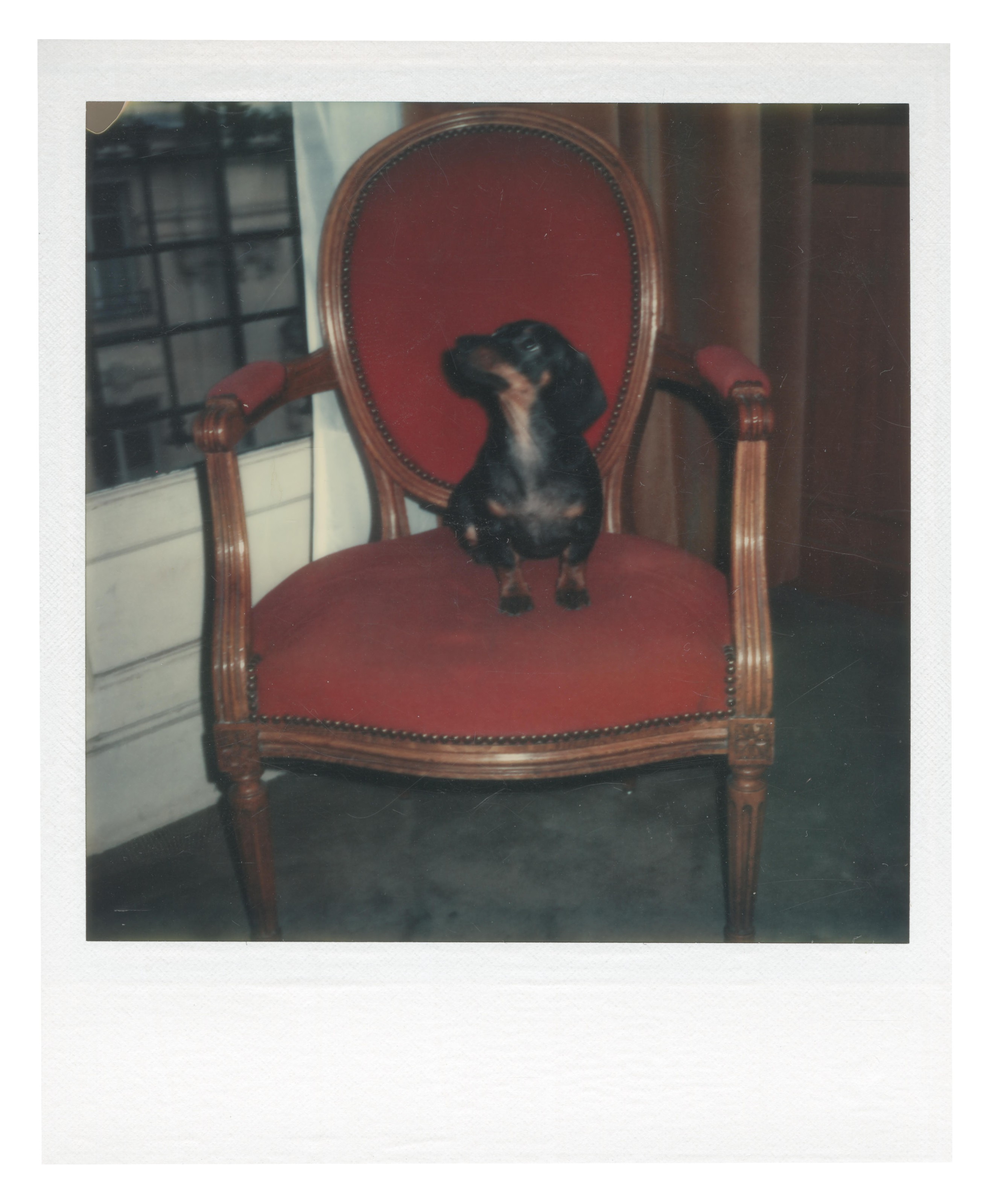 ANDY WARHOL (1928-1987), Archie | Christie’s