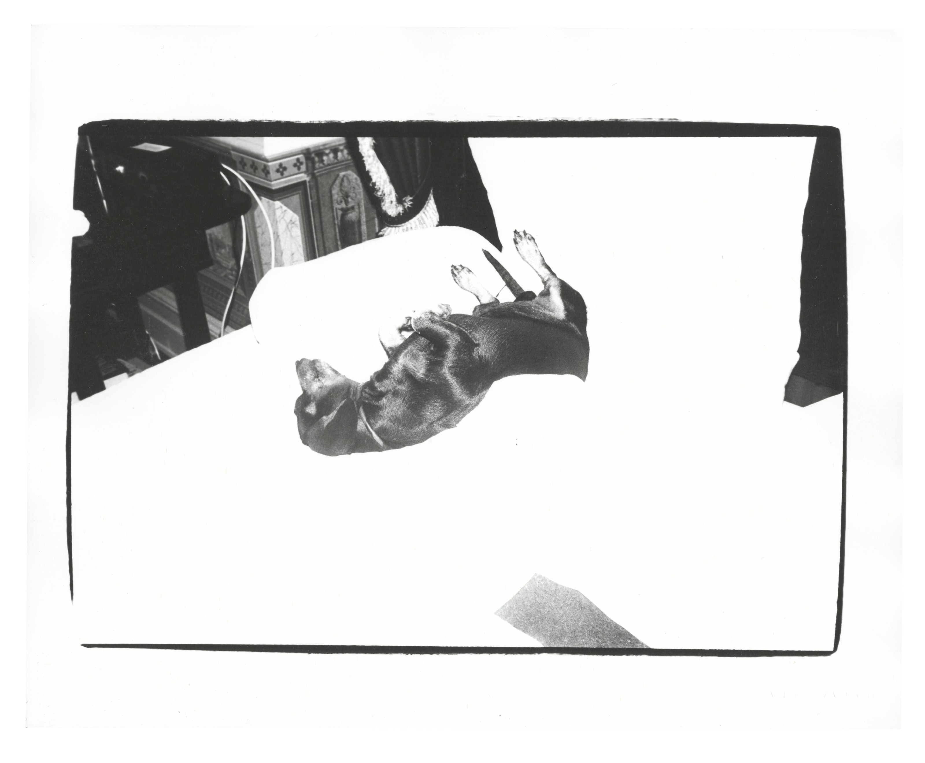 ANDY WARHOL (1928-1987), Archie | Christie’s