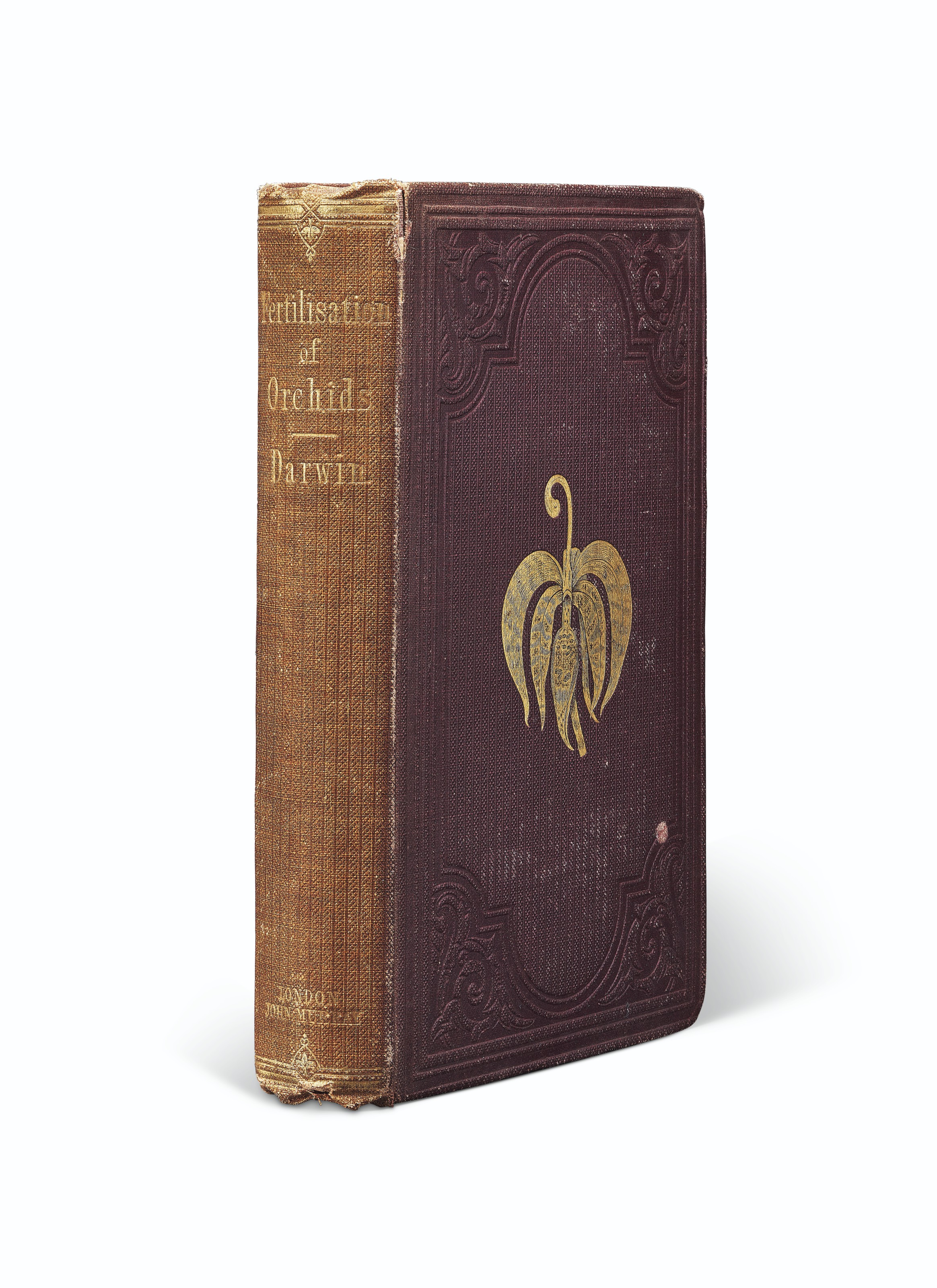 Charles Darwin Origin Of Species First Edition
