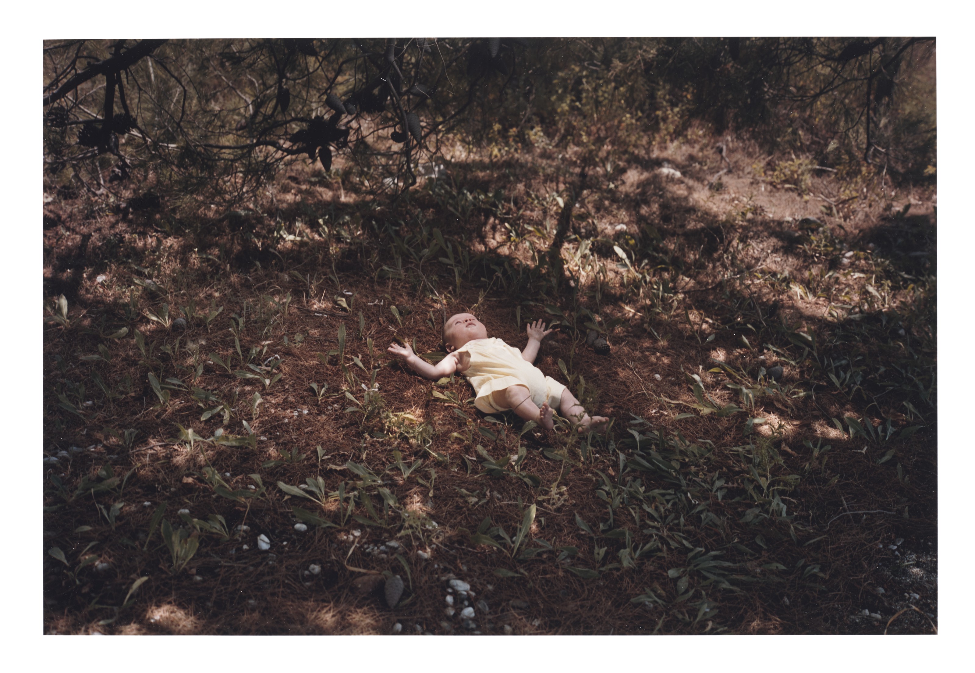 PHILIP-LORCA DICORCIA (B. 1951), Skopelos, 1993 | Christie’s