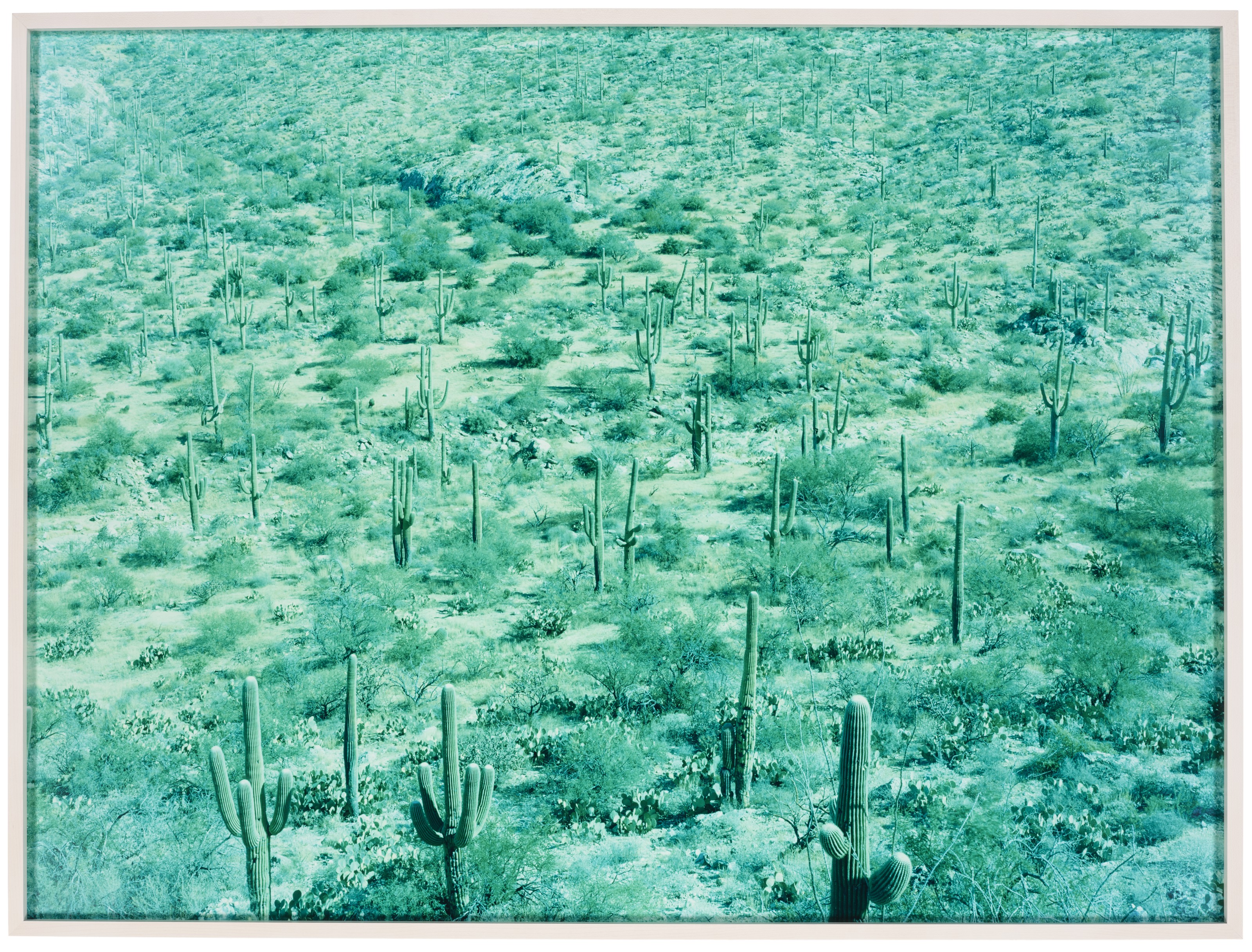 DAVID BENJAMIN SHERRY (B. 1981), Upward and Then Eternal Ends, 2009 ...