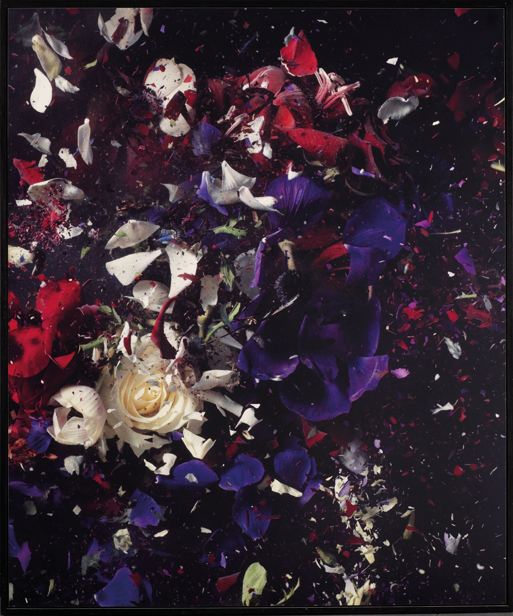 ORI GERSHT (NÉ EN 1967)