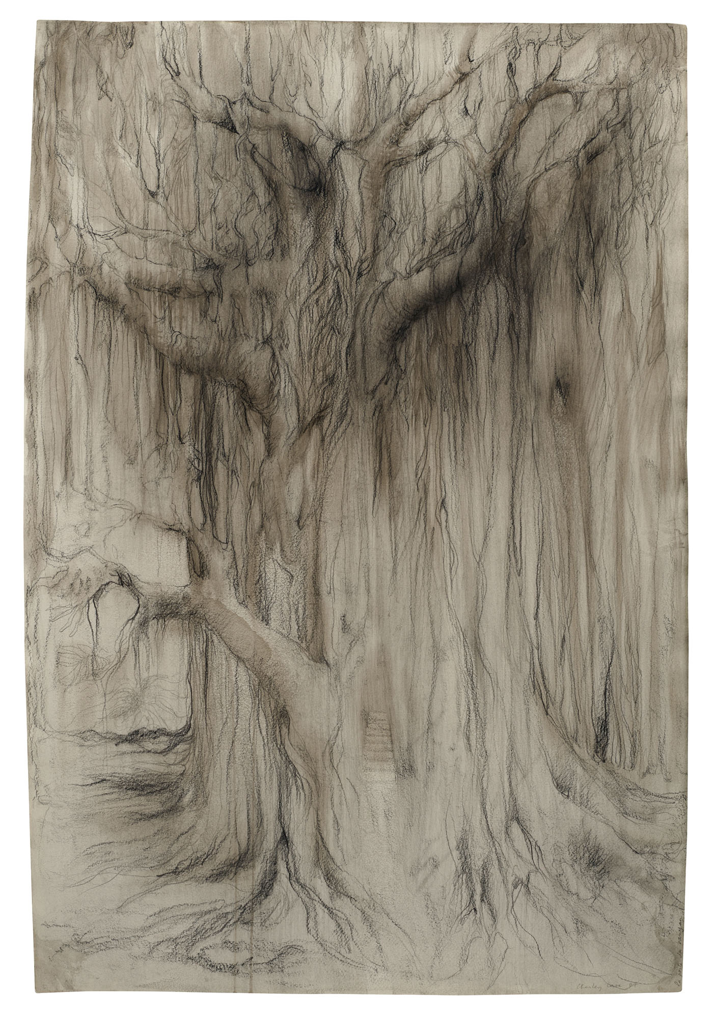 Charley Case (né en 1969), La porte de Banyan | Christie’s