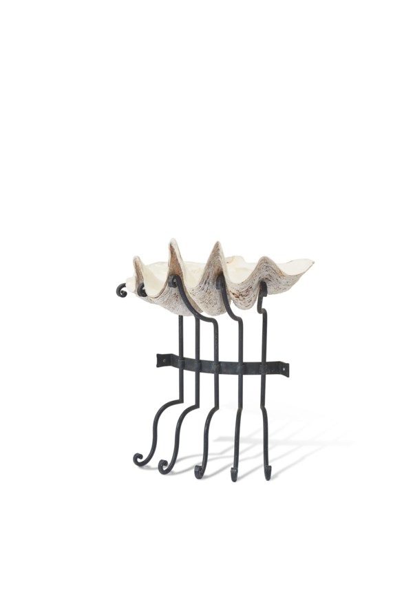 BÉNITIER FOSSILE GÉANT TRIDACNA GIGAS, PLEISTOCENE SUPERIEUR (ENVIRON ...