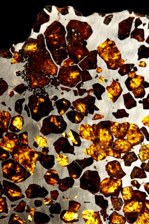 A MONOLITHIC SLICE OF THE FUKANG METEORITE