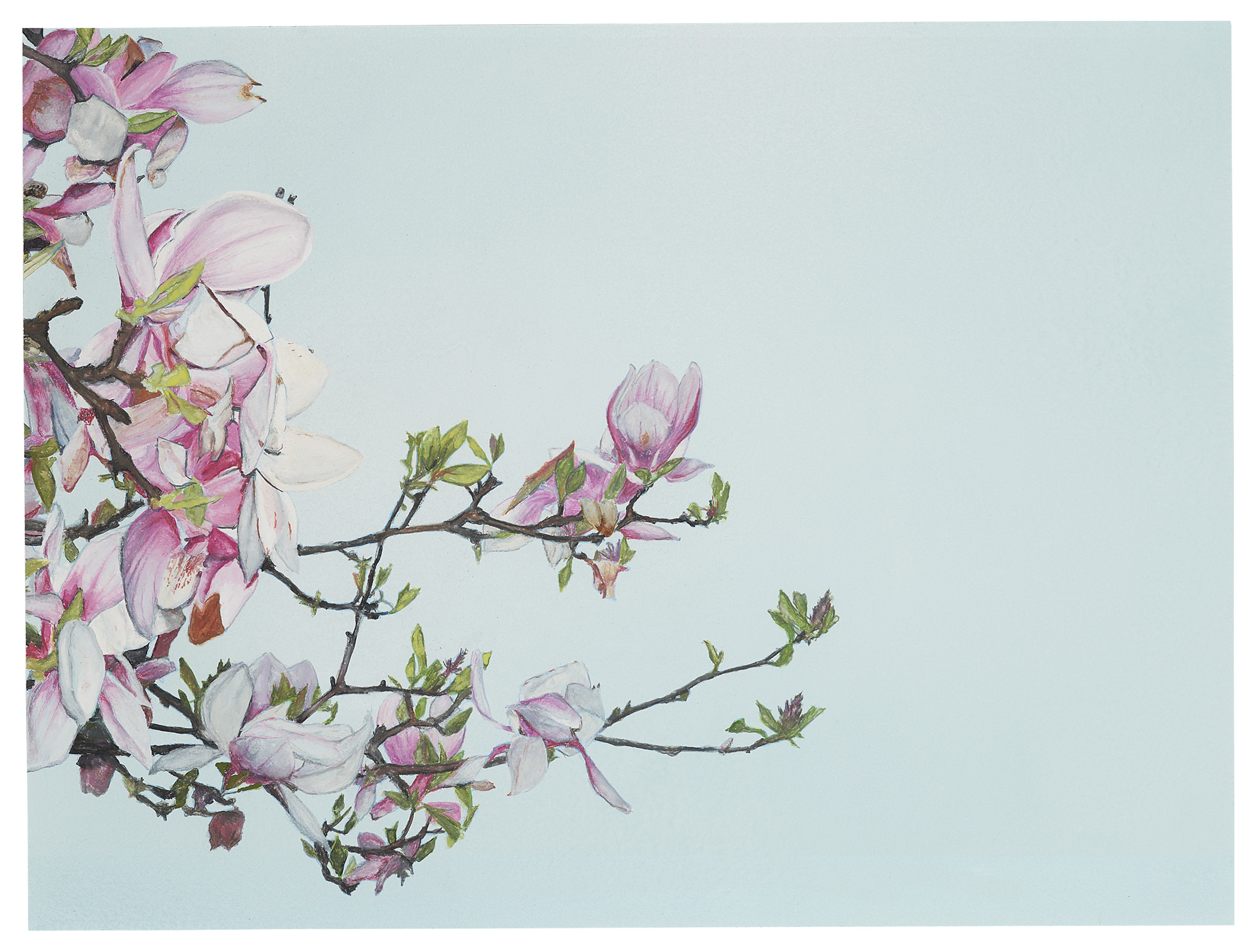 DIKE BLAIR (B. 1952), Untitled | Christie’s