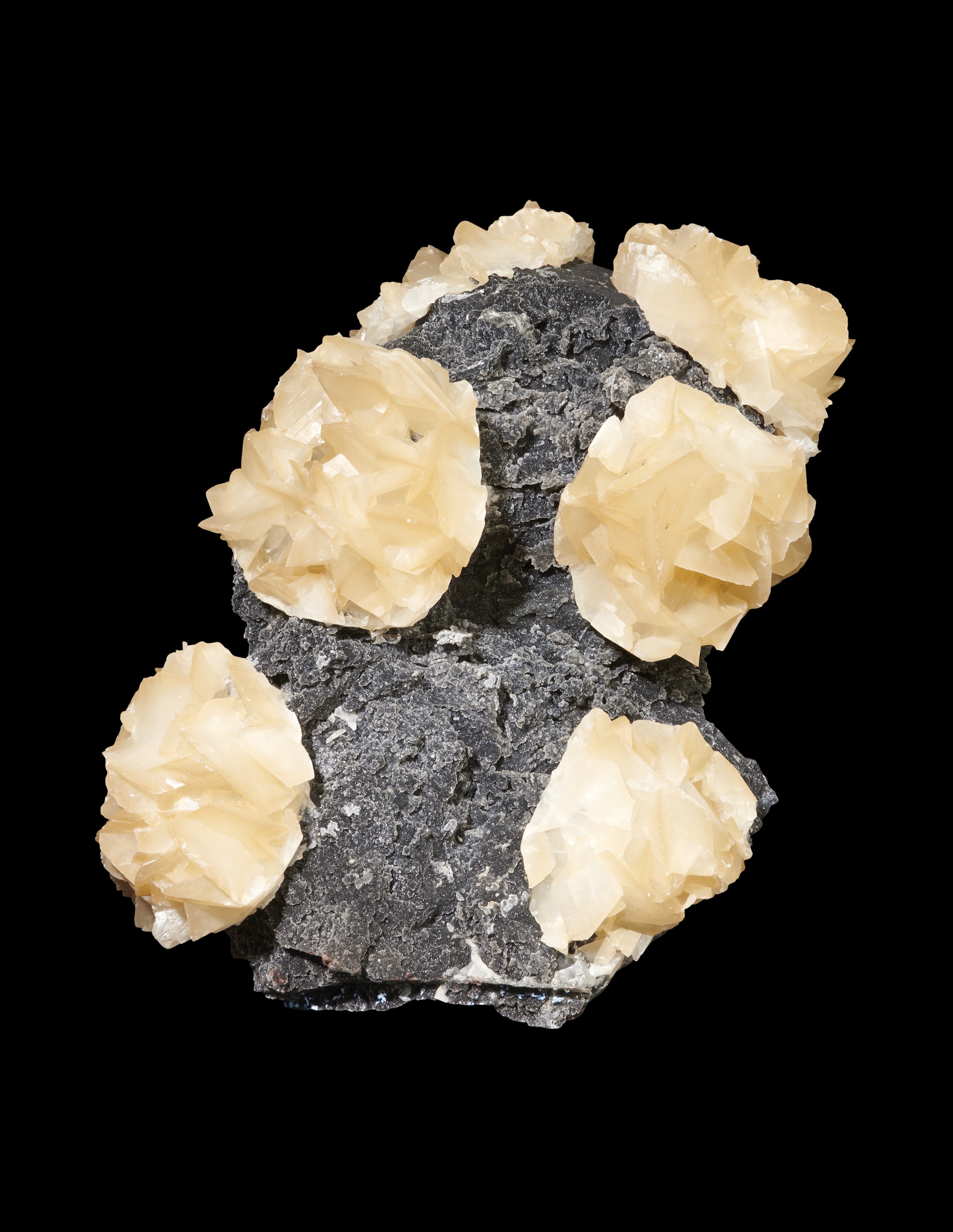 CREAM CALCITE "FLOWERS" ON BLACK LIMESTONE, CHINA | Christie’s