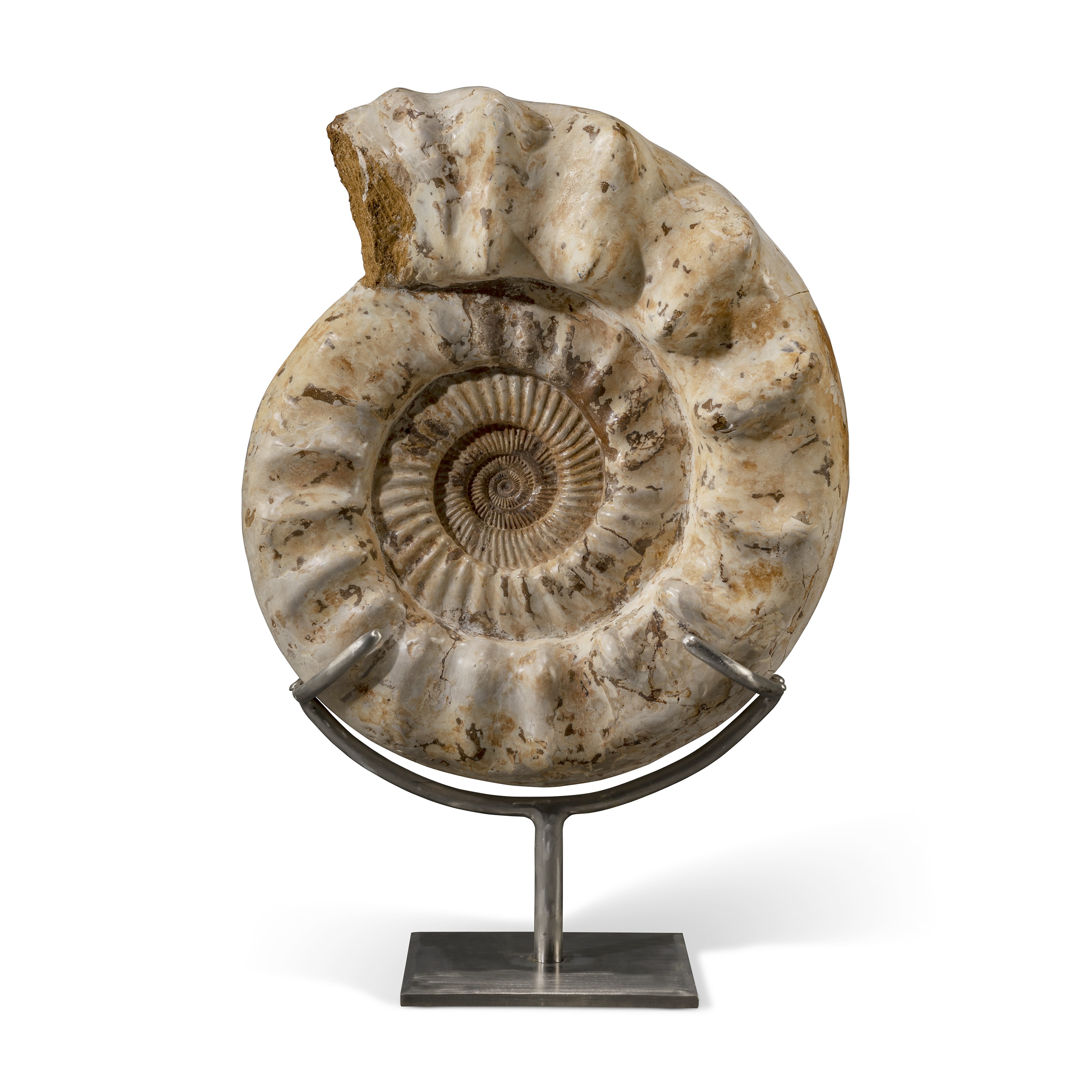A VERY LARGE AMMONITE, MADAGASCAR | Christie’s
