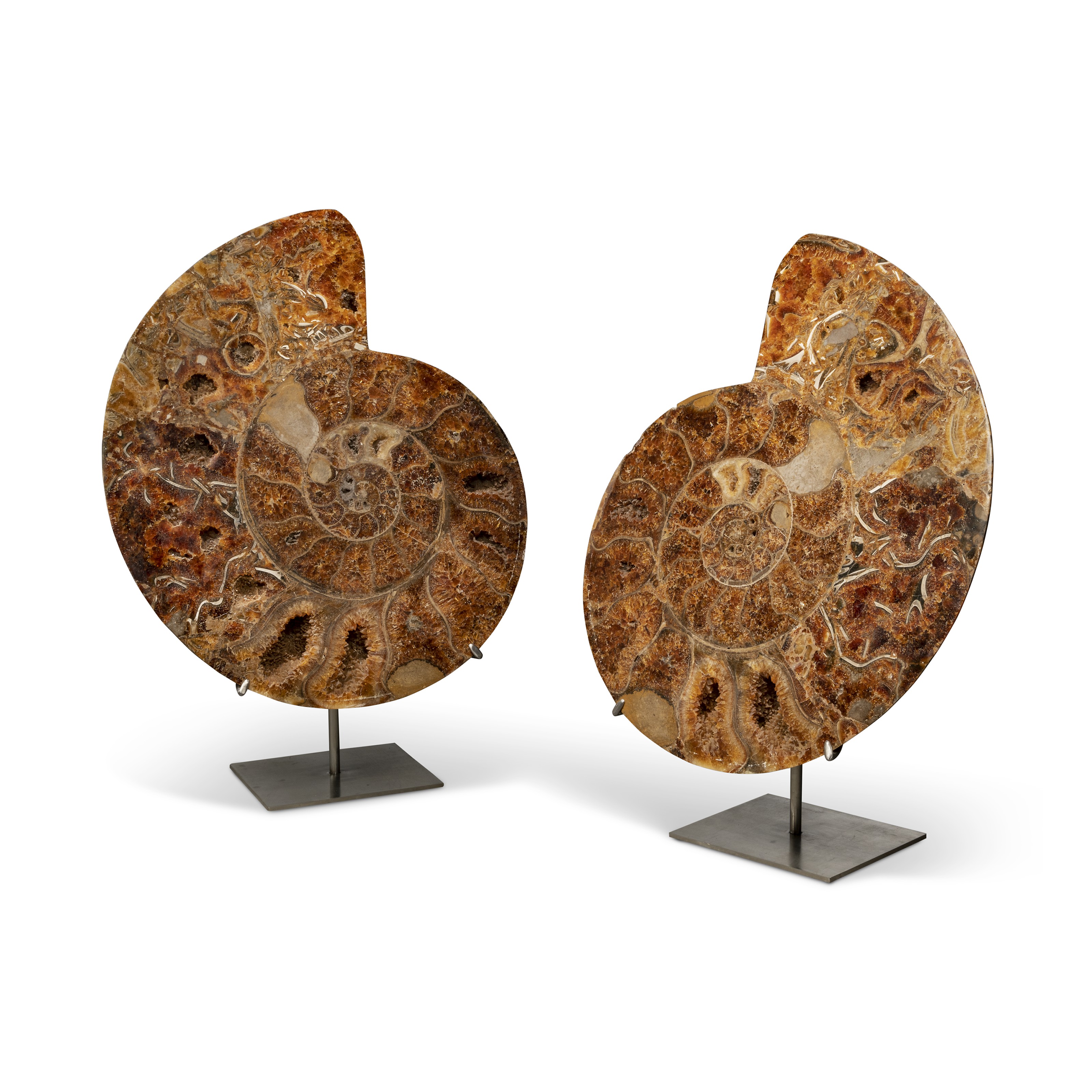 A SPLIT AMMONITE, MADAGASCAR | Christie’s