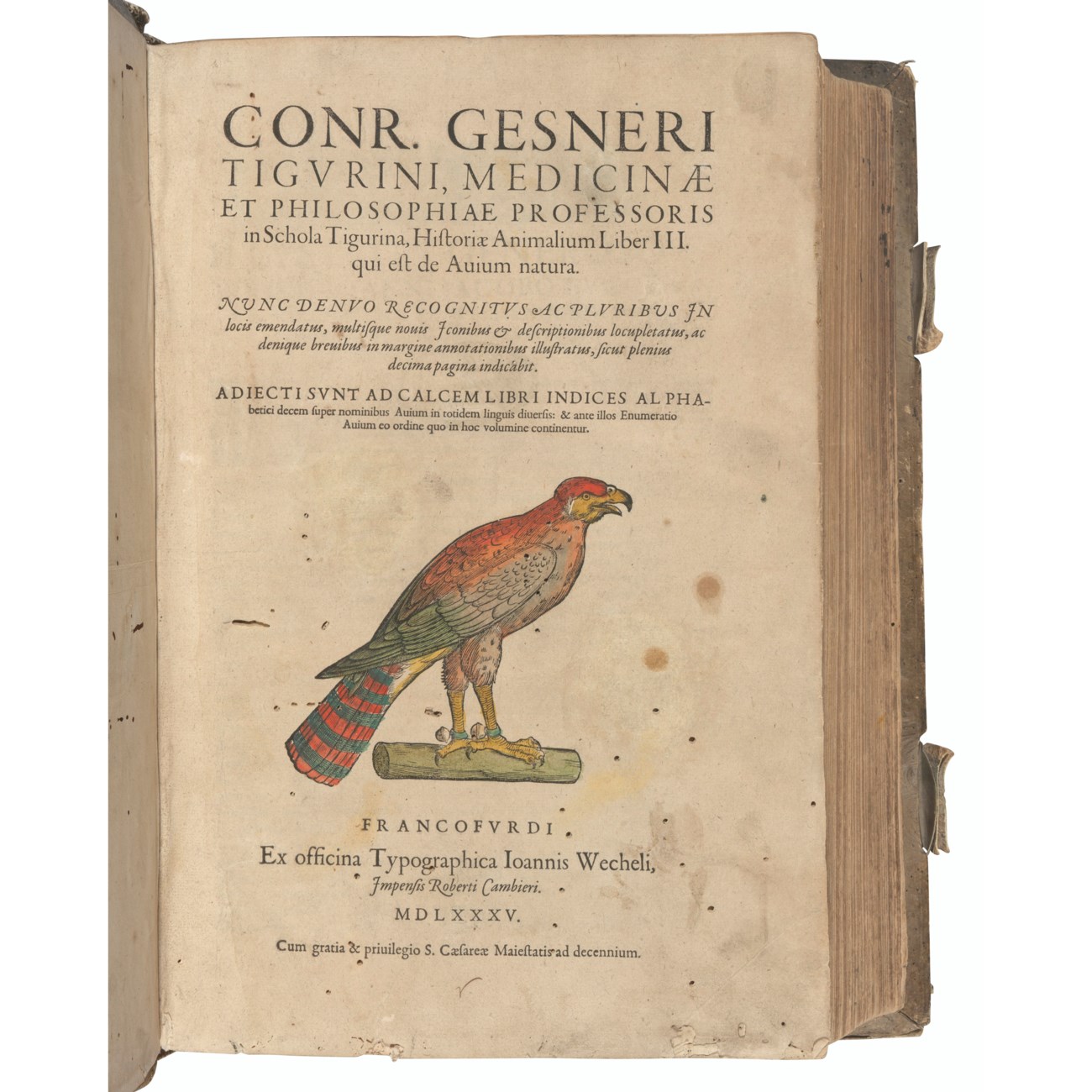 GESNER, Conrad (1516-1565), Historiae animalium ... Avium natura ...
