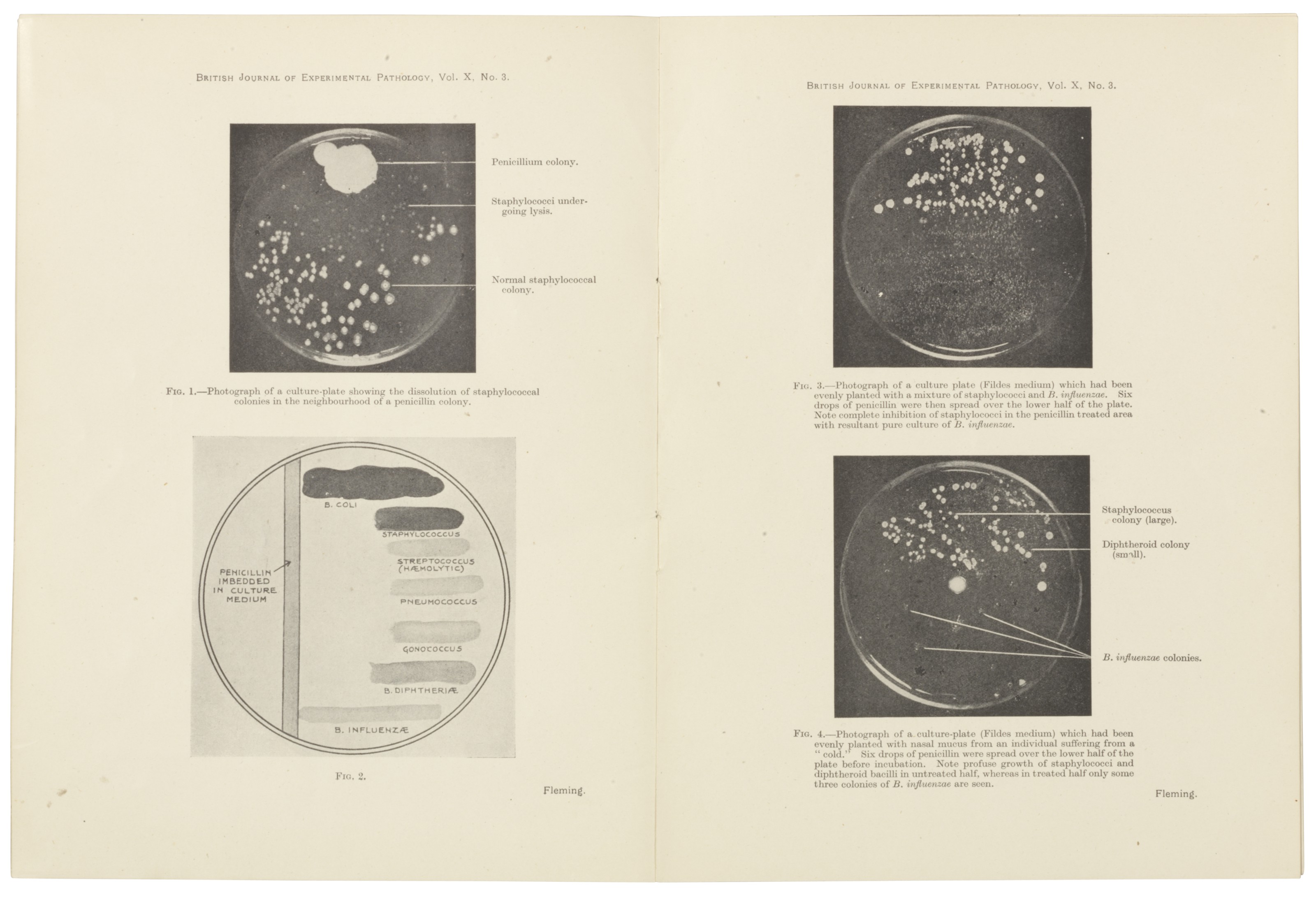 Alexander Fleming (1881-1955)., ‘On the Antibacterial Action of ...