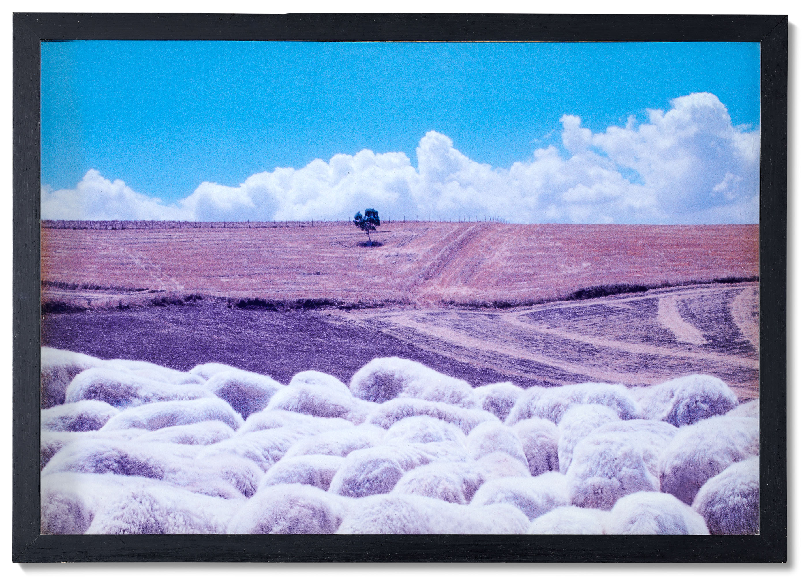 Franco Fontana - Lose in unserem Preisarchiv - LotSearch