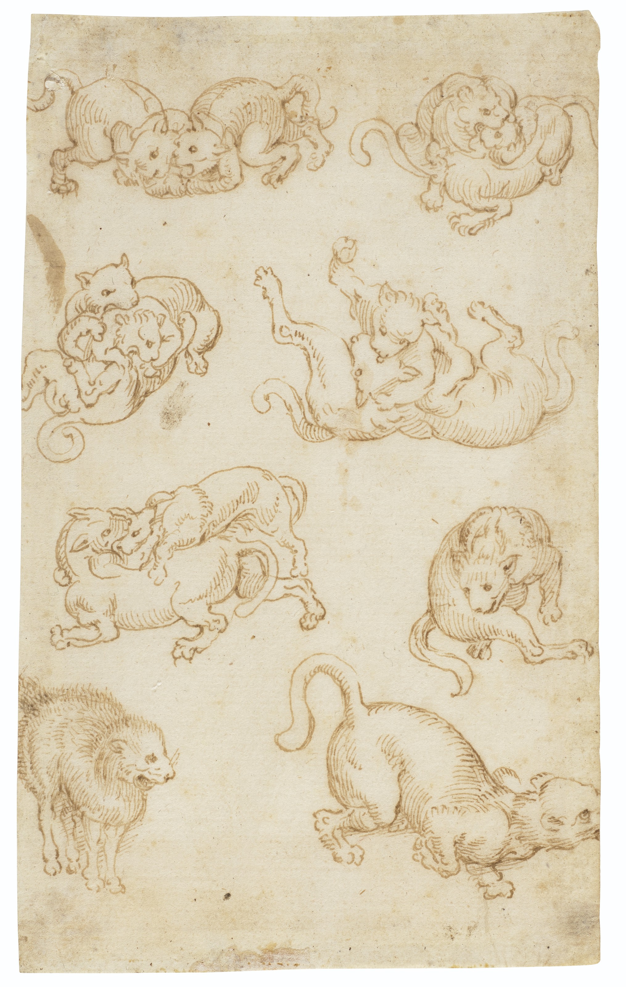 FRANCESCO MELZI (Milan 1491/93-1570 Vaprio d’Adda), Eight studies of ...