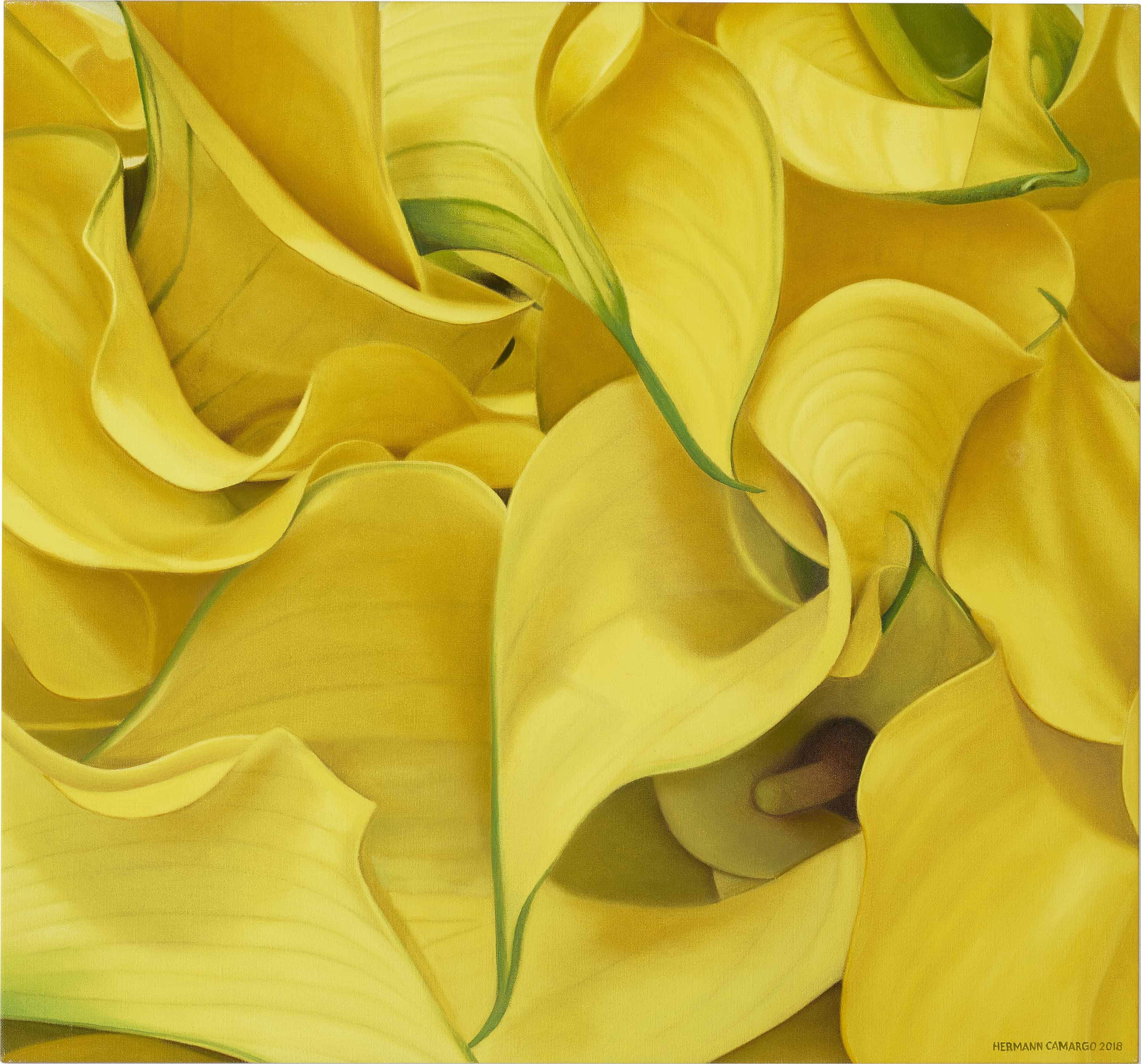hermann-camargo-b-1950-untitled-christie-s