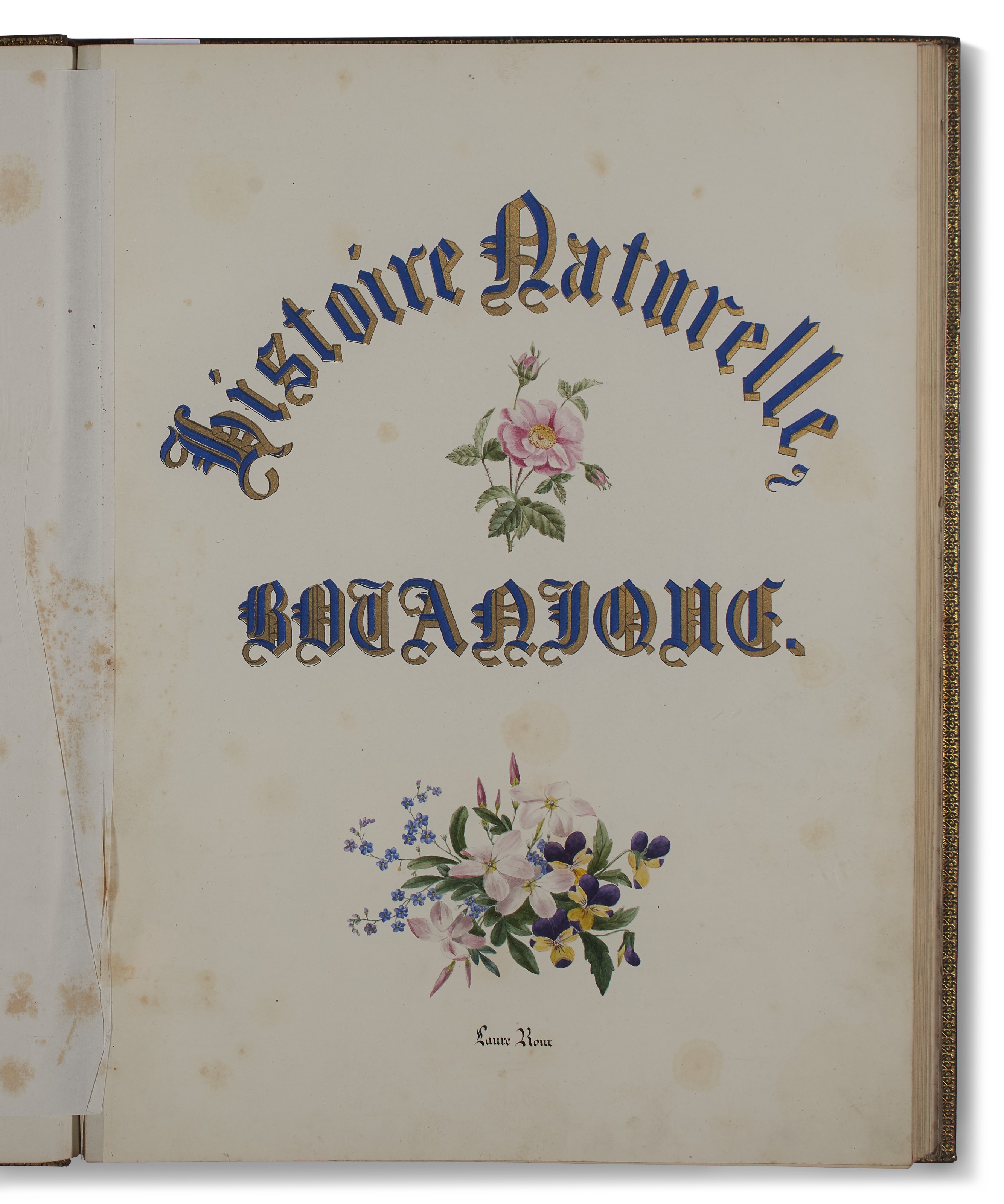 Watercolors of flowers and plants, Bound manuscript, c.1850 | Christie’s
