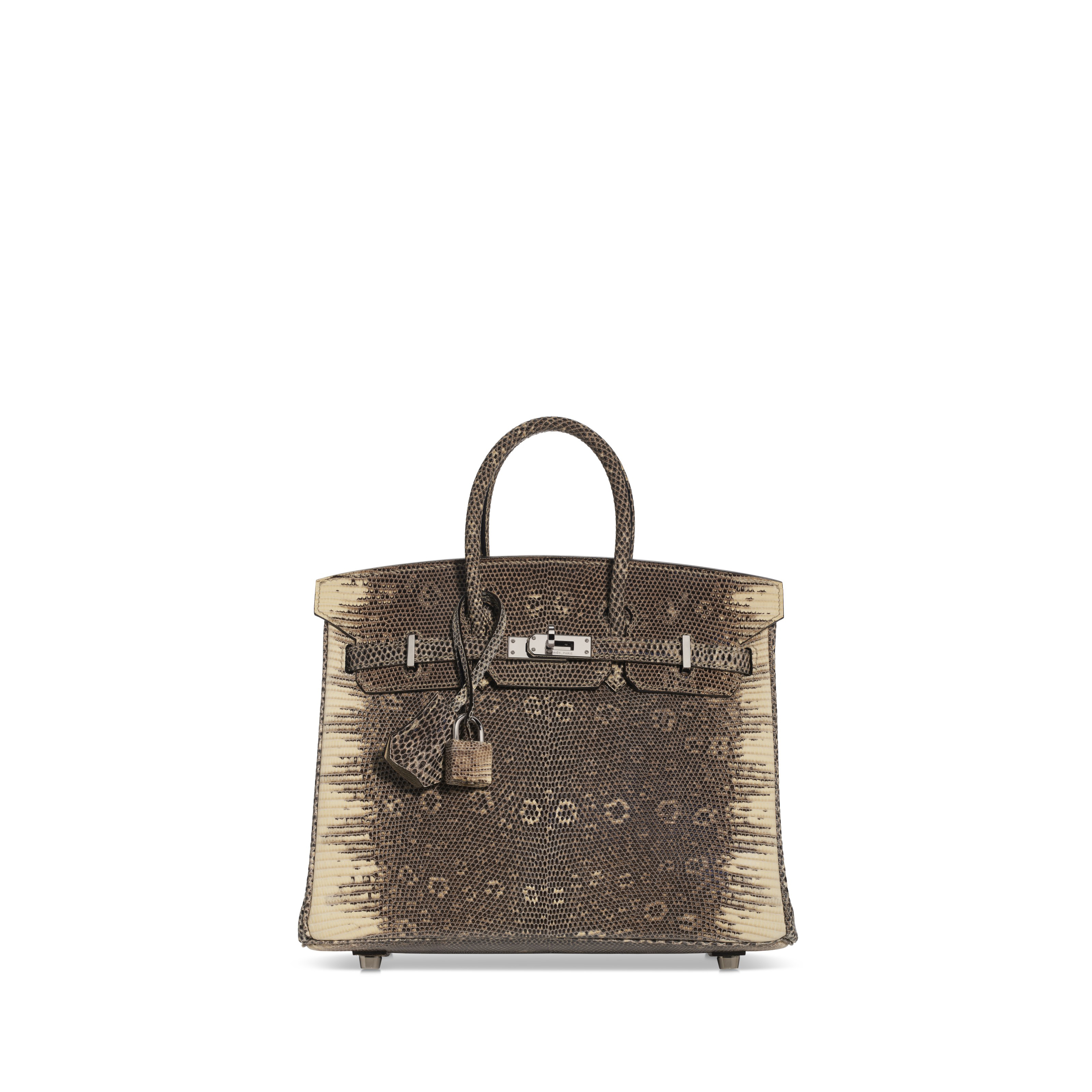 AN OMBRÉ SALVATOR LIZARD BIRKIN 25 WITH PALLADIUM HARDWARE, HERMÈS ...