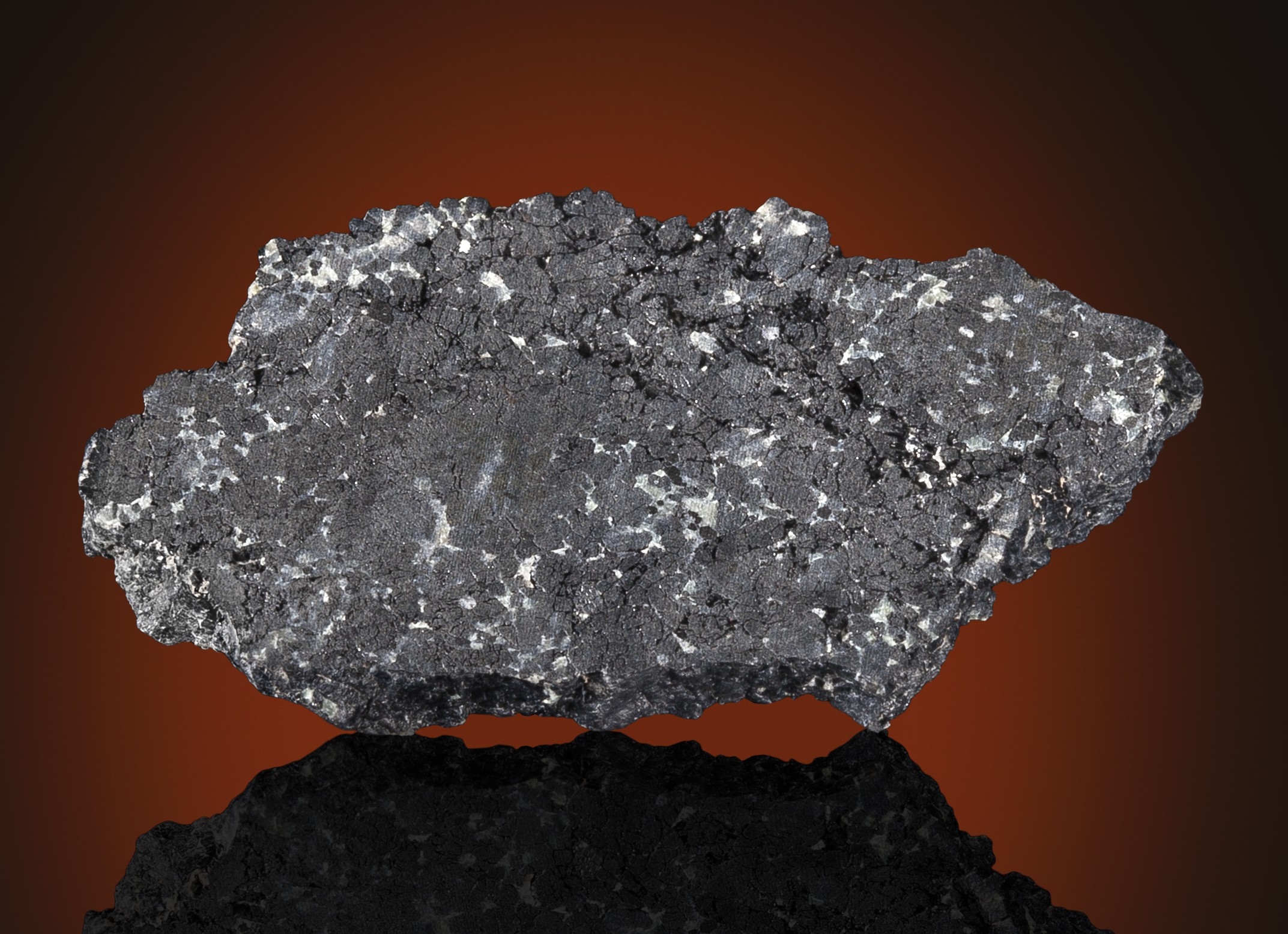 NWA 2737 — FROM MARS, A COMPLETE SLICE OF A CHASSIGNITE, THE RAREST ...