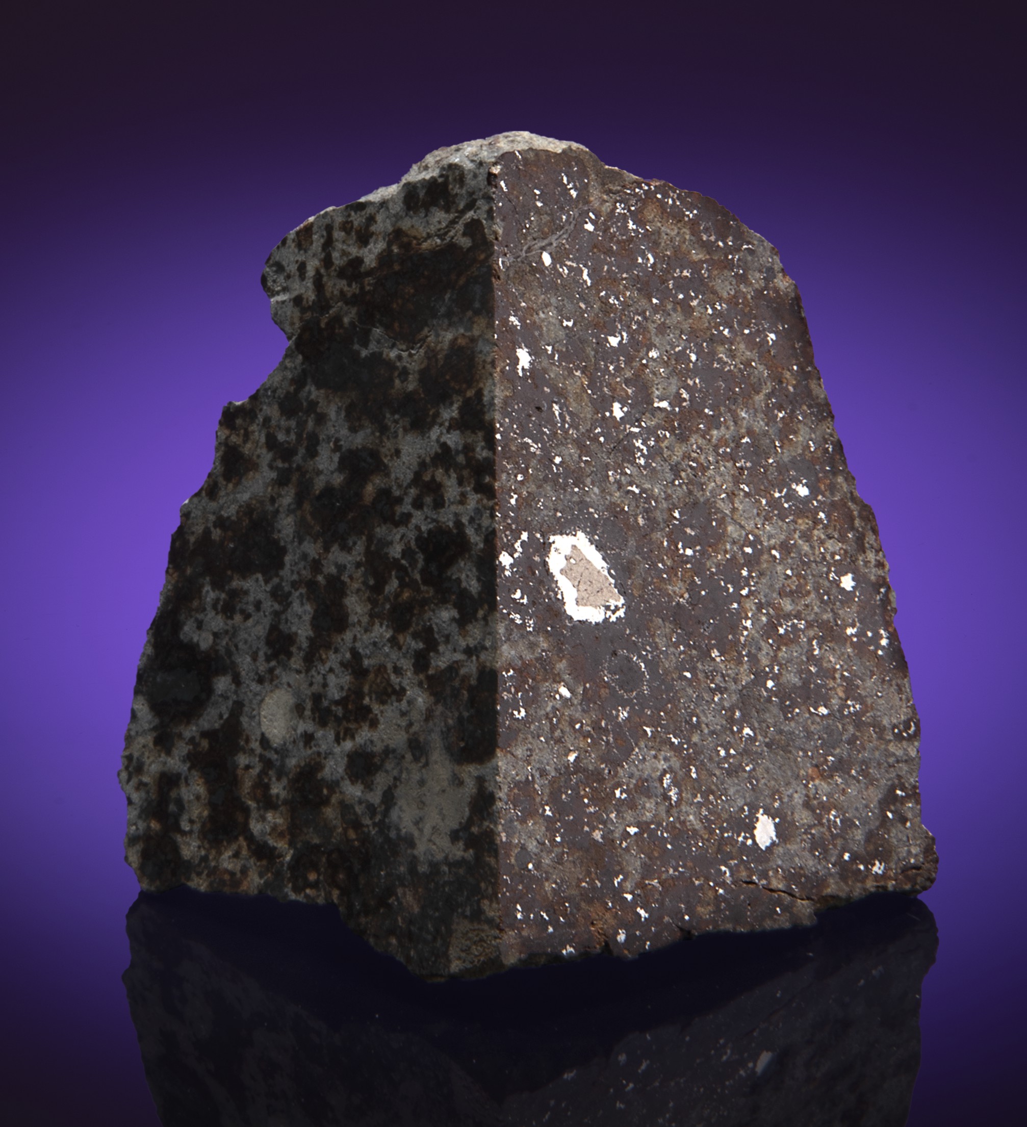 allende meteorite slice