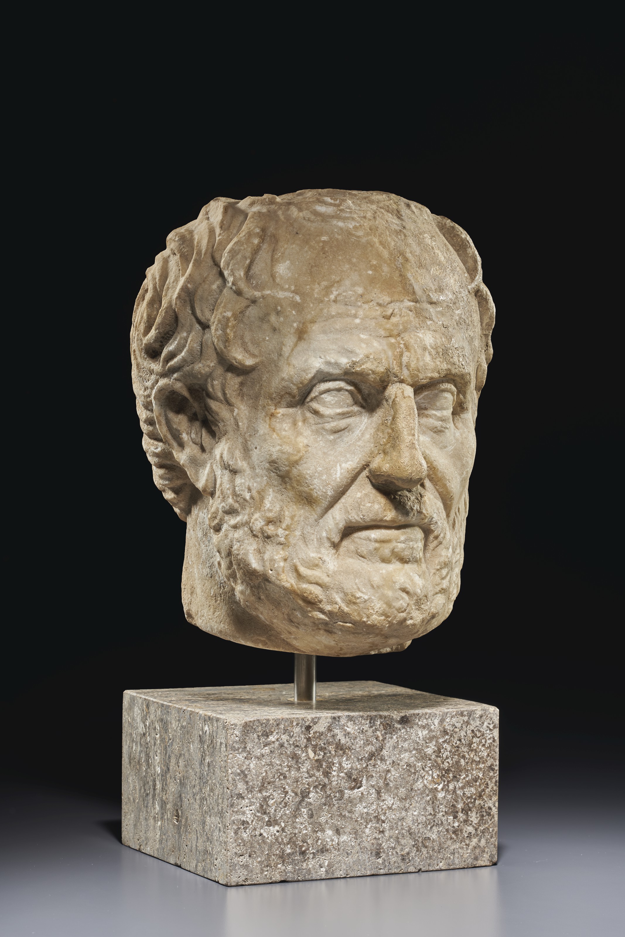 Aristotle Portrait
