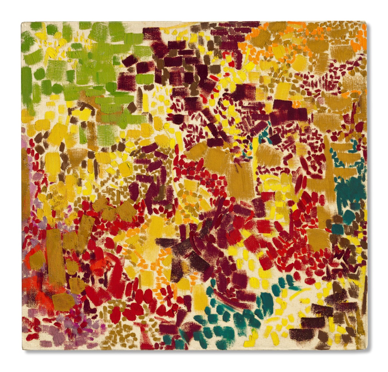 LYNNE DREXLER (1928-1999), Daffodil Gloucester | Christie's