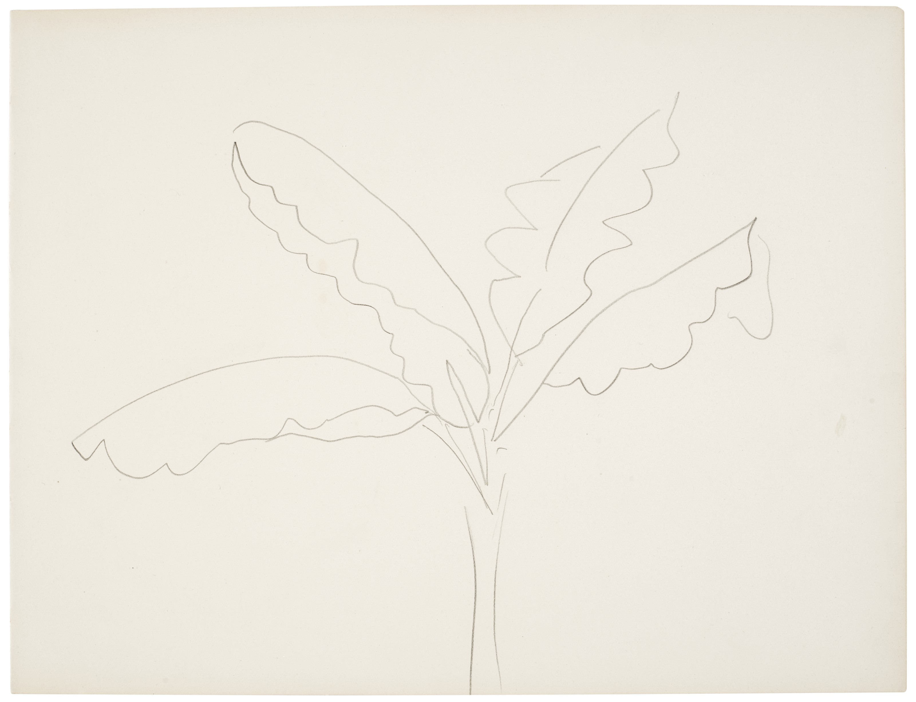 Henri Matisse (1869-1954), Banannier (Tahiti) | Christie’s