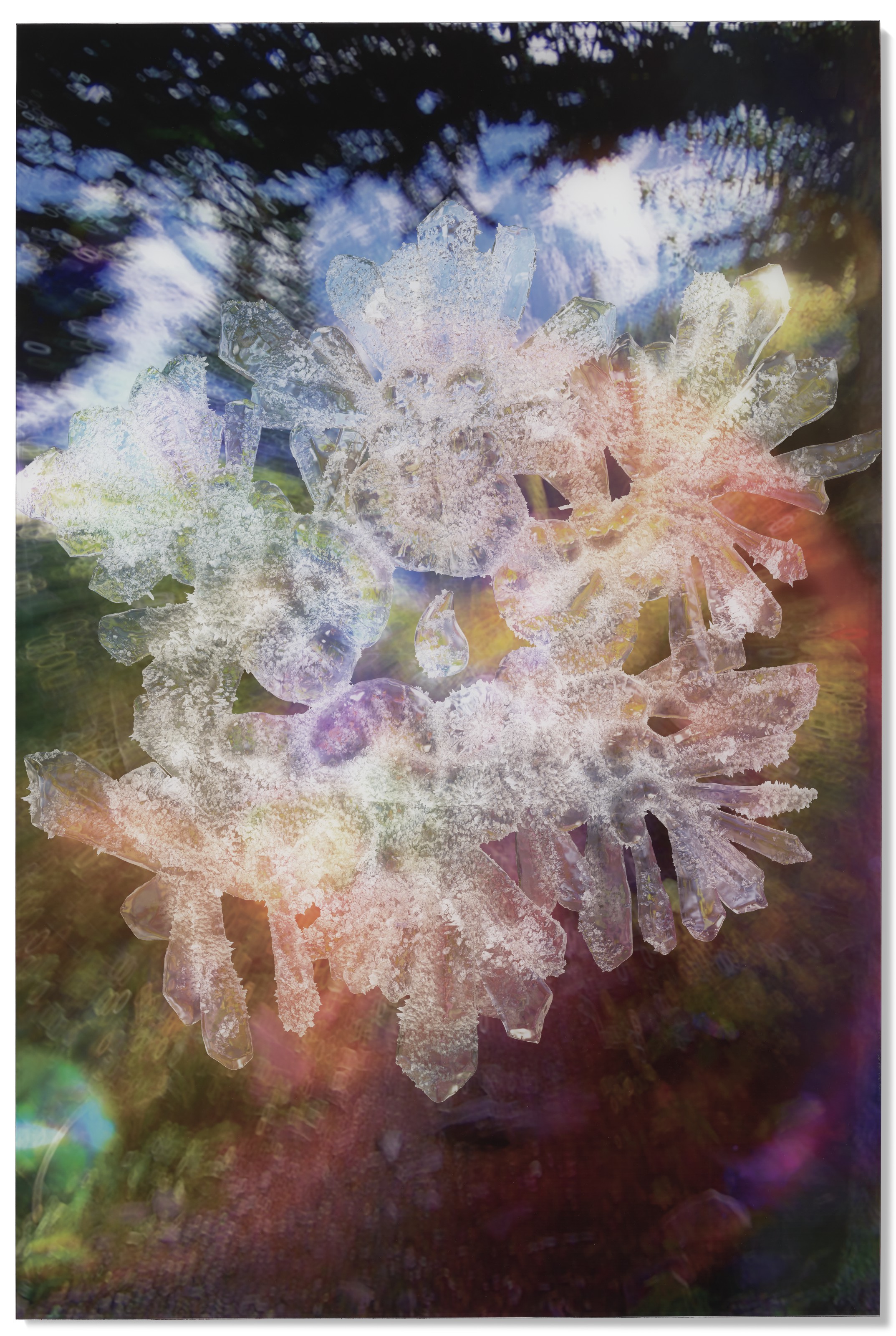 JARED MADERE (b. 1986), Brutthammelo | Christie’s