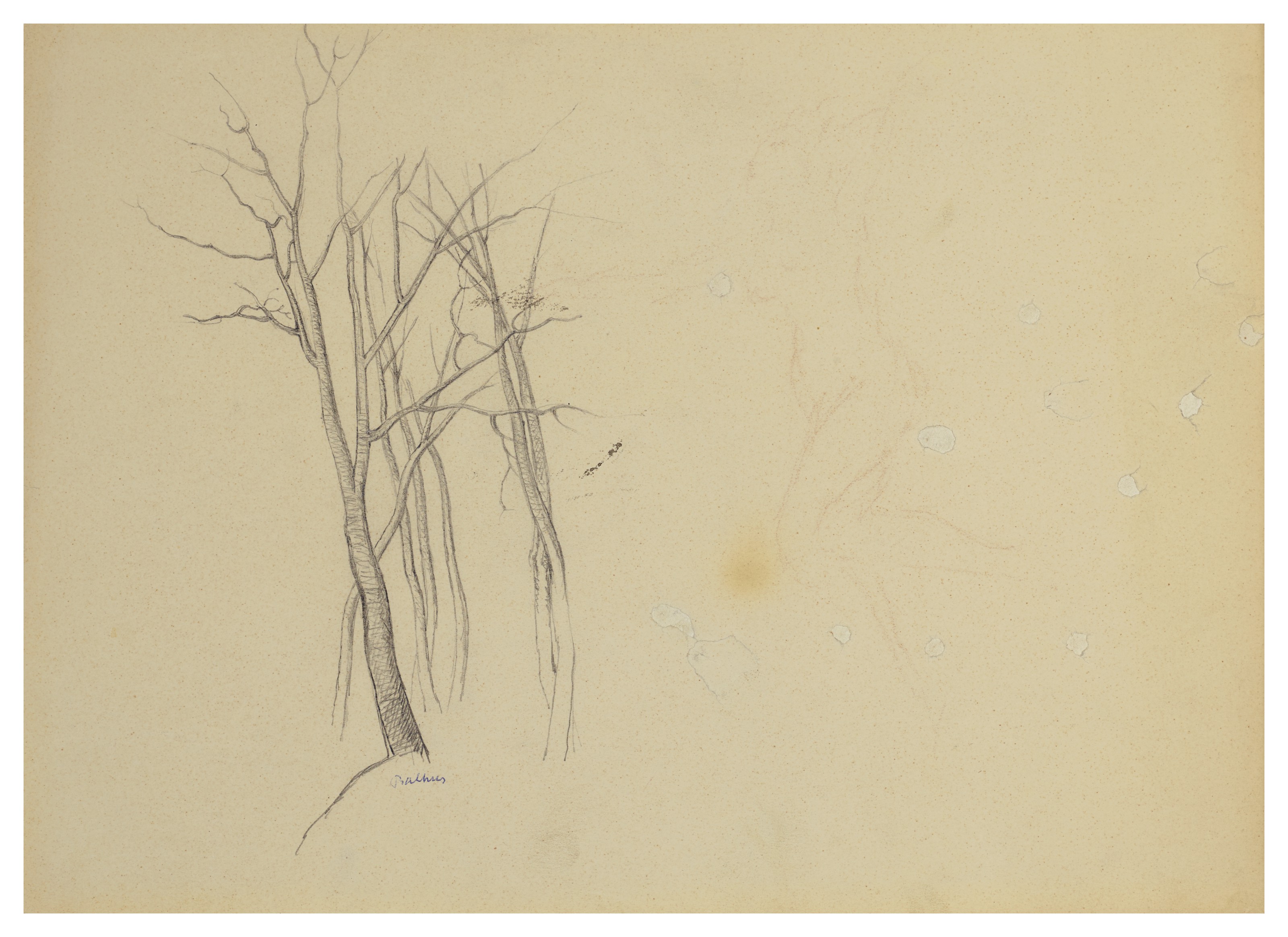 Balthus (Balthasar Klossowski de Rola, dit, 1908-2001), Études d'arbres ...