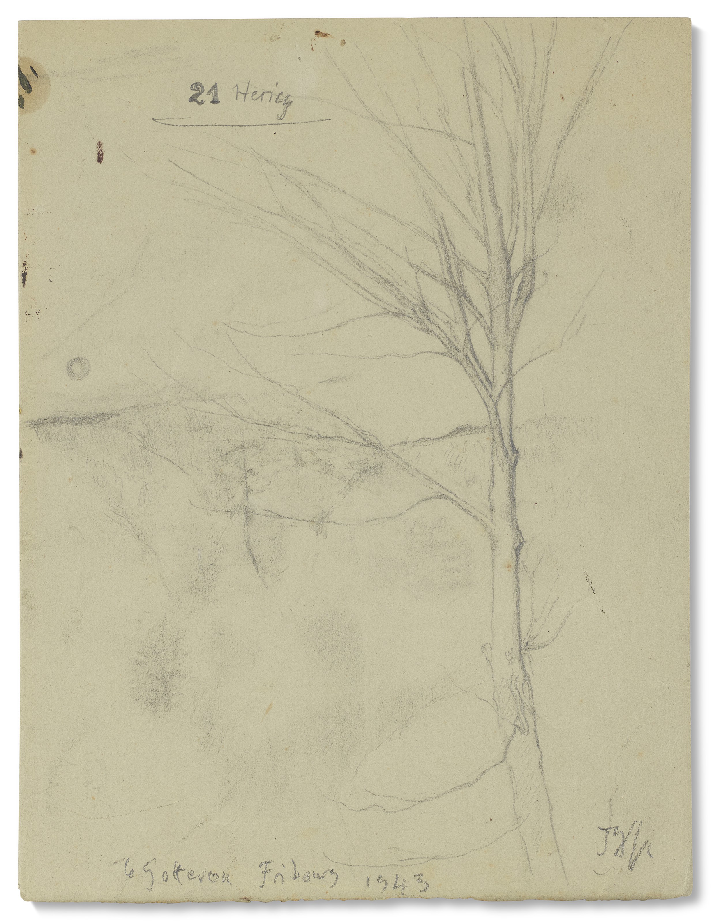 Balthus (Balthasar Klossowski de Rola, dit, 1908-2001), Étude d'arbre ...