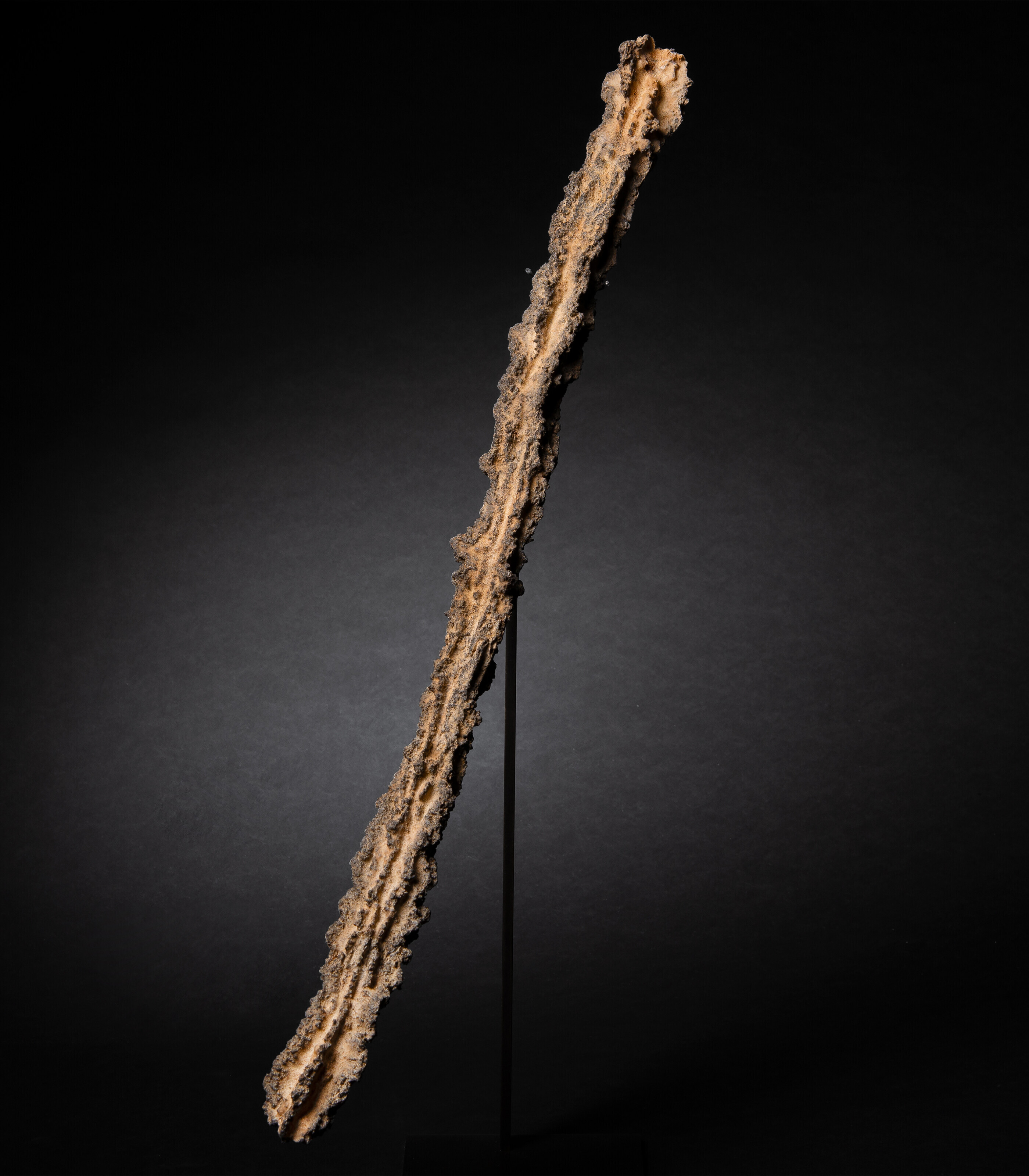 SOLIDIFIED LIGHTNING: AN EXTRAORDINARILY LARGE FULGURITE, THE SAHARA ...