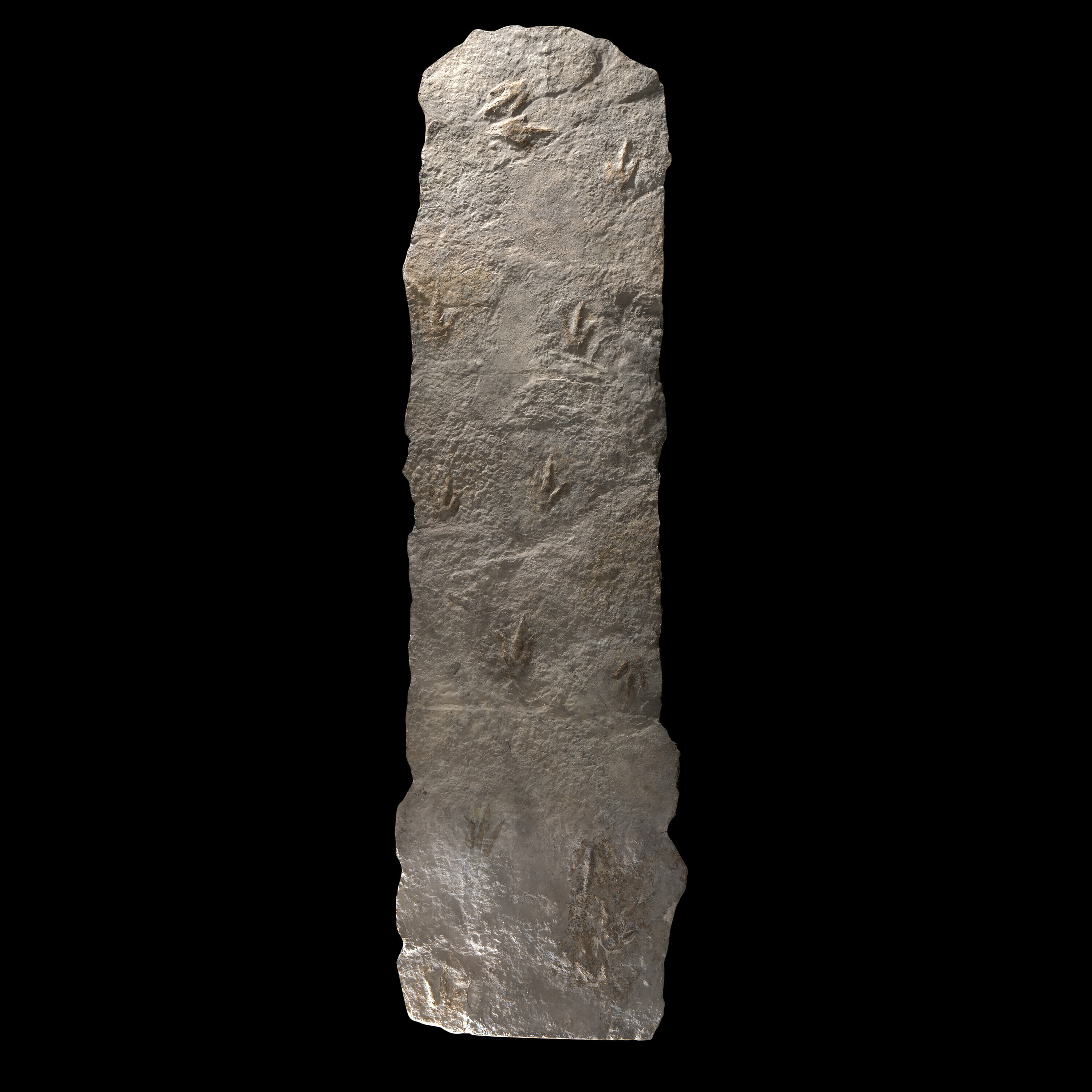 DINOSAUR FOOTPRINTS, FRANCE | Christie’s