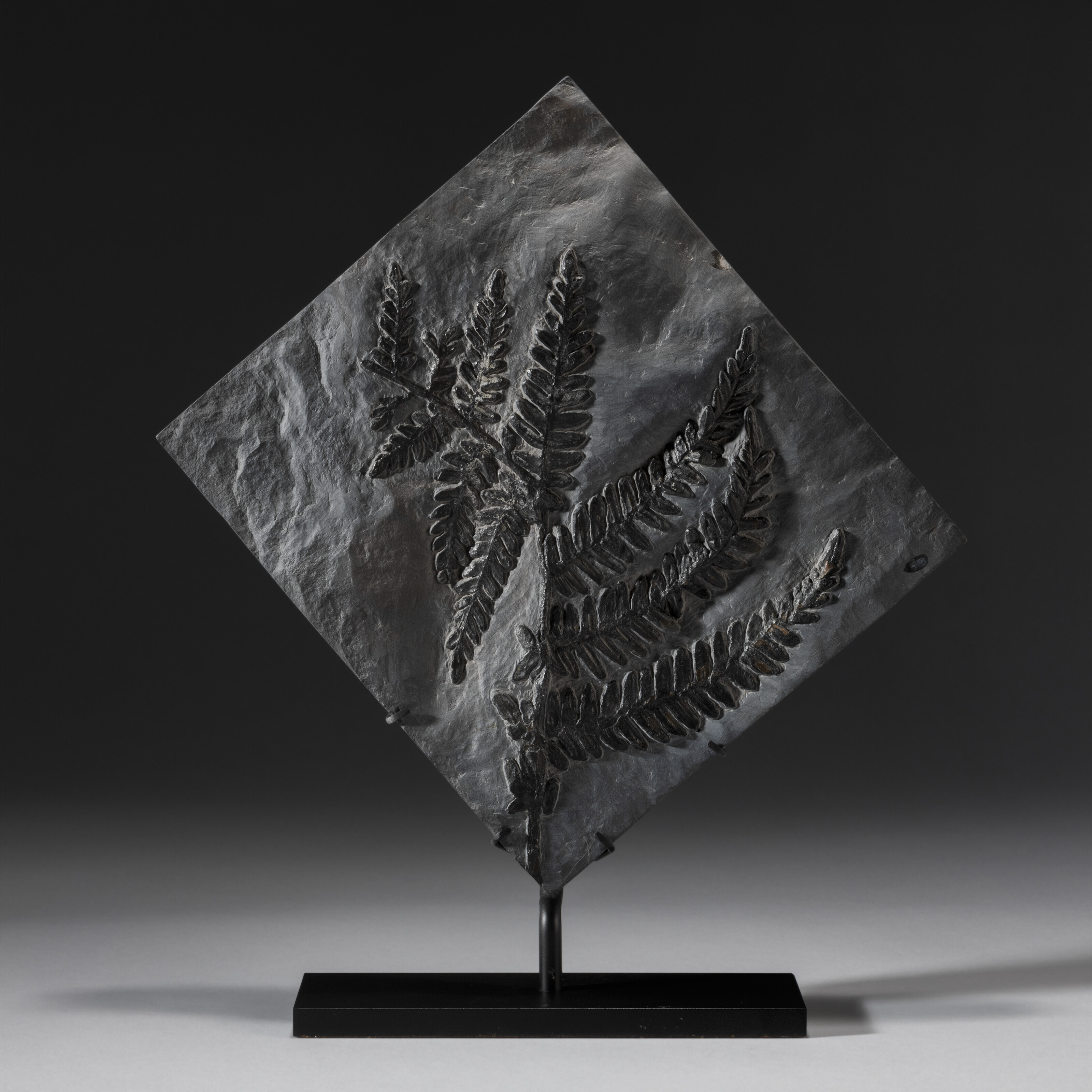 A SUPERLATIVE FERN PLATE, GERMANY | Christie’s