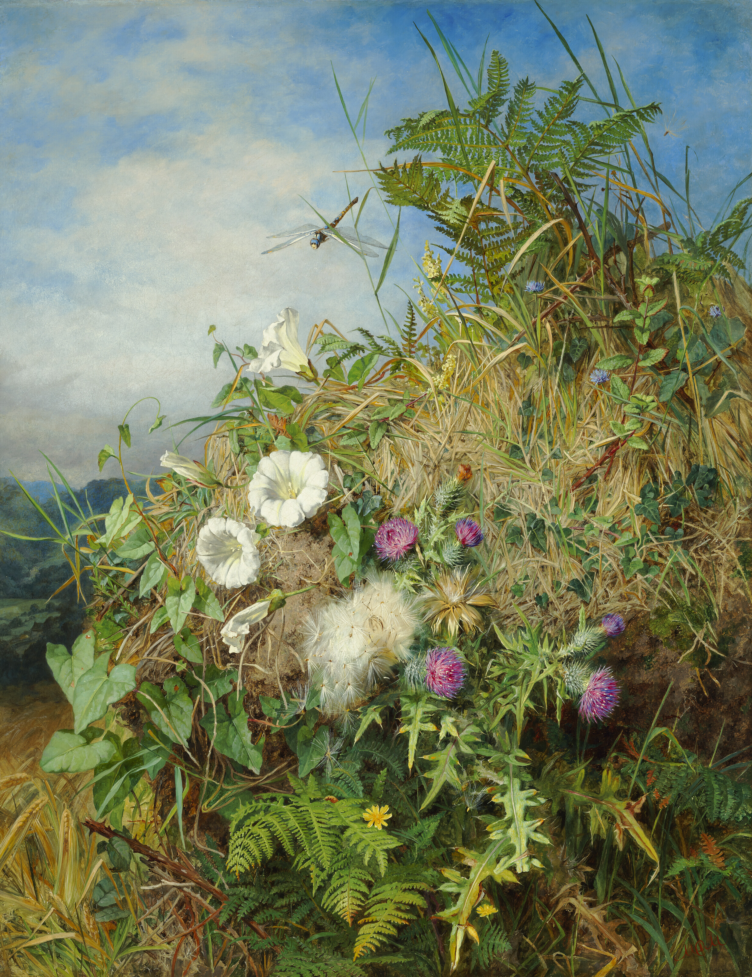 MARTHA DARLEY MUTRIE (1824-1885), Wild flowers at the corner of a ...