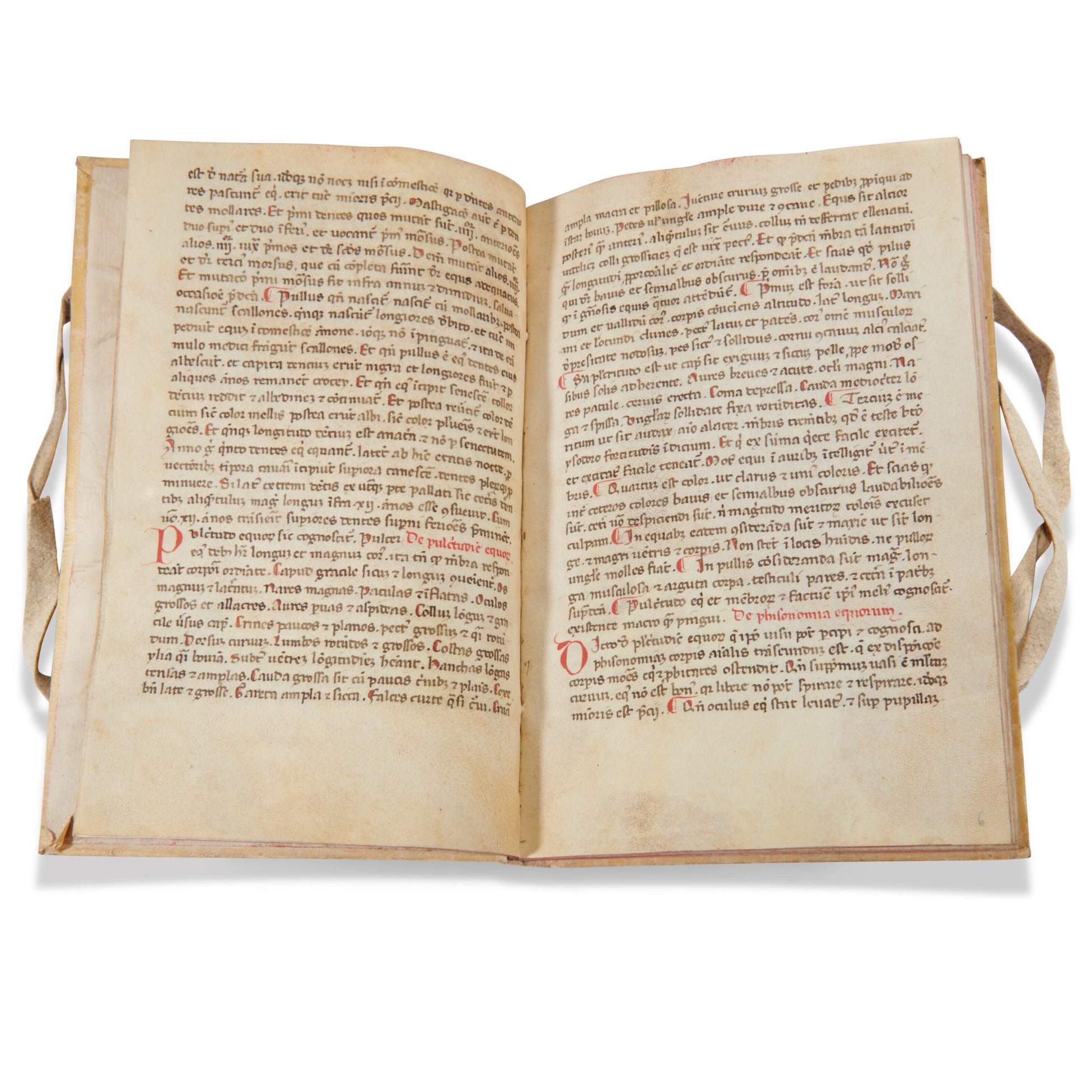 BORGOGNONI, Theodoric, Bishop of Cervia (1205-1296/8), Mulomedicina, in ...