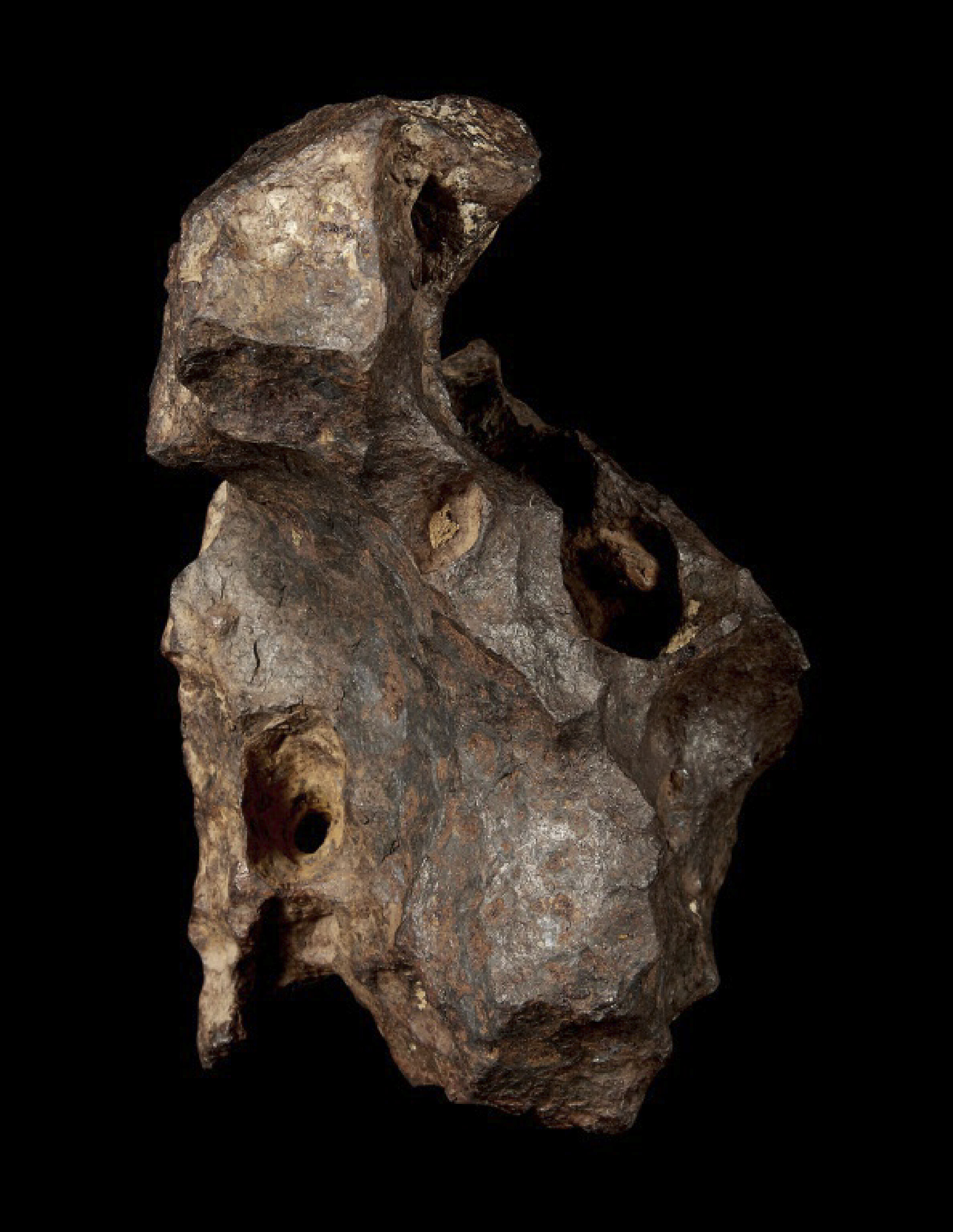 CANYON DIABLO METEORITE WITH NATURAL HOLES, IRON, COARSE OCTAHEDRITE ...