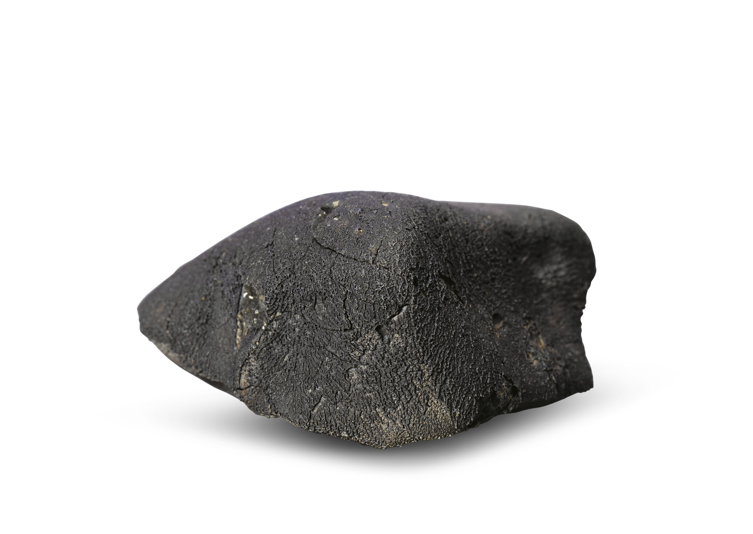 ORIENTED CARBONACEOUS TARDA METEORITE, Carbonaceous chondrite – C2 ...