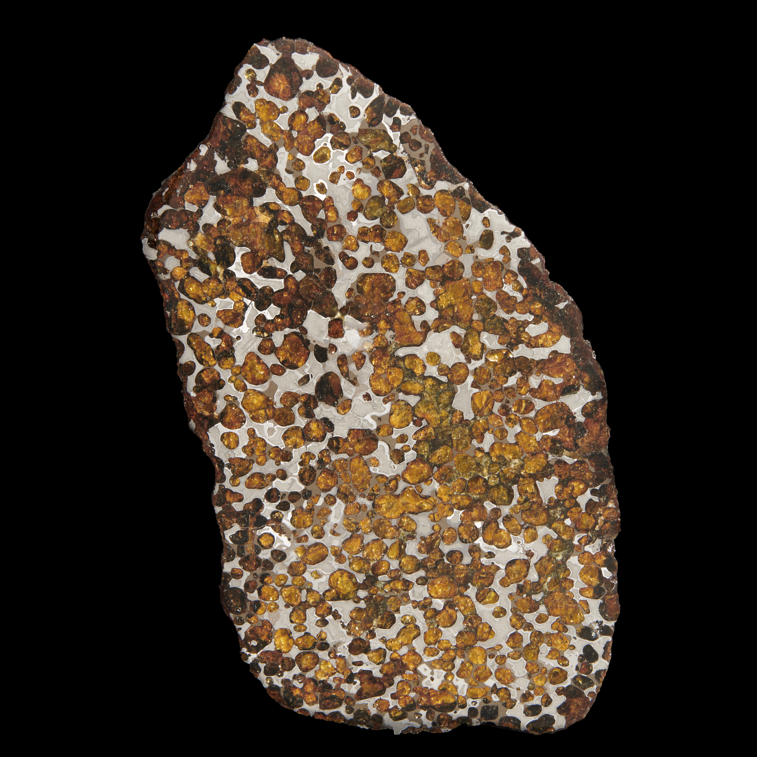 SPRINGWATER METEORITE COMPLETE SLICE, Pallasite – PMG-AN; Saskatchewan ...