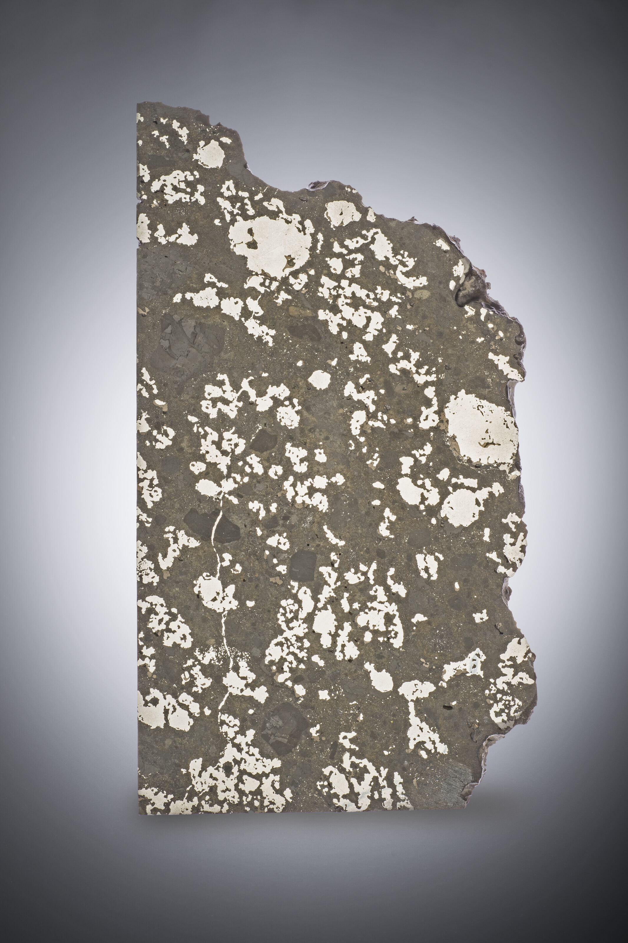 PARTIAL SLICE OF ESTHERVILLE METEORITE, MESOSIDERITE — A3/4; Emmet ...