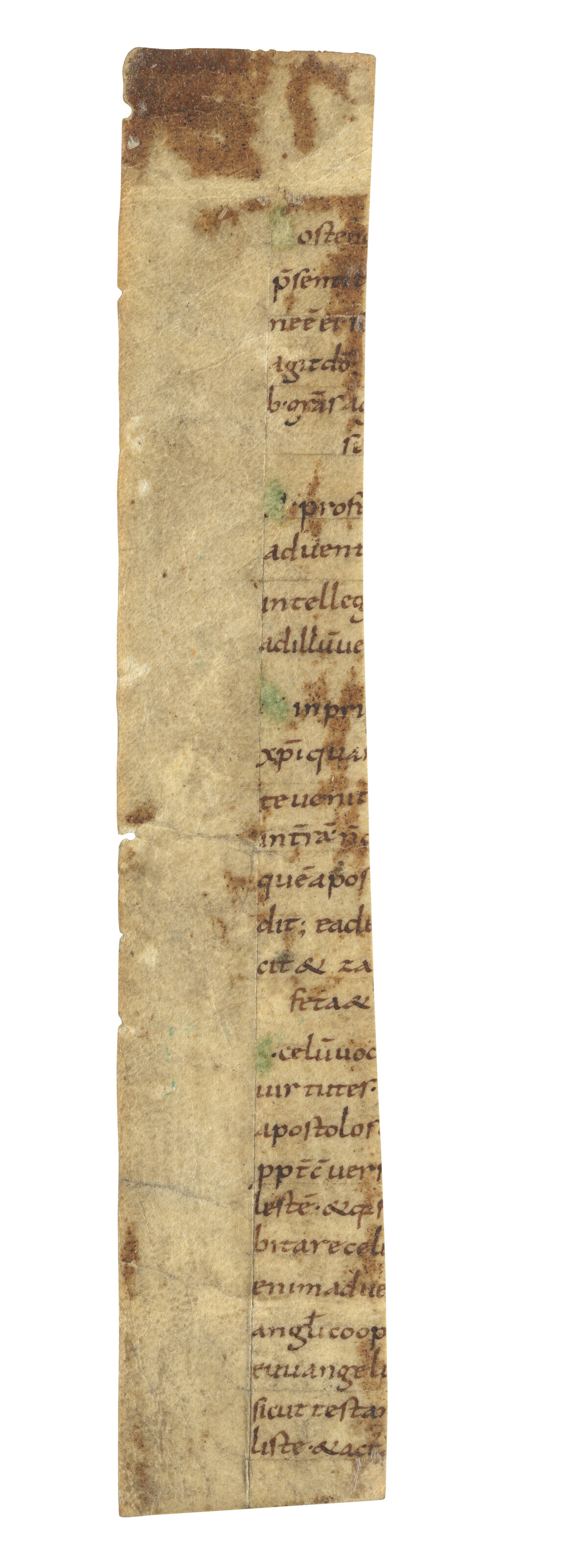 A Gloss on the Psalms, Fragment of a Gloss on the Psalms in Latin ...