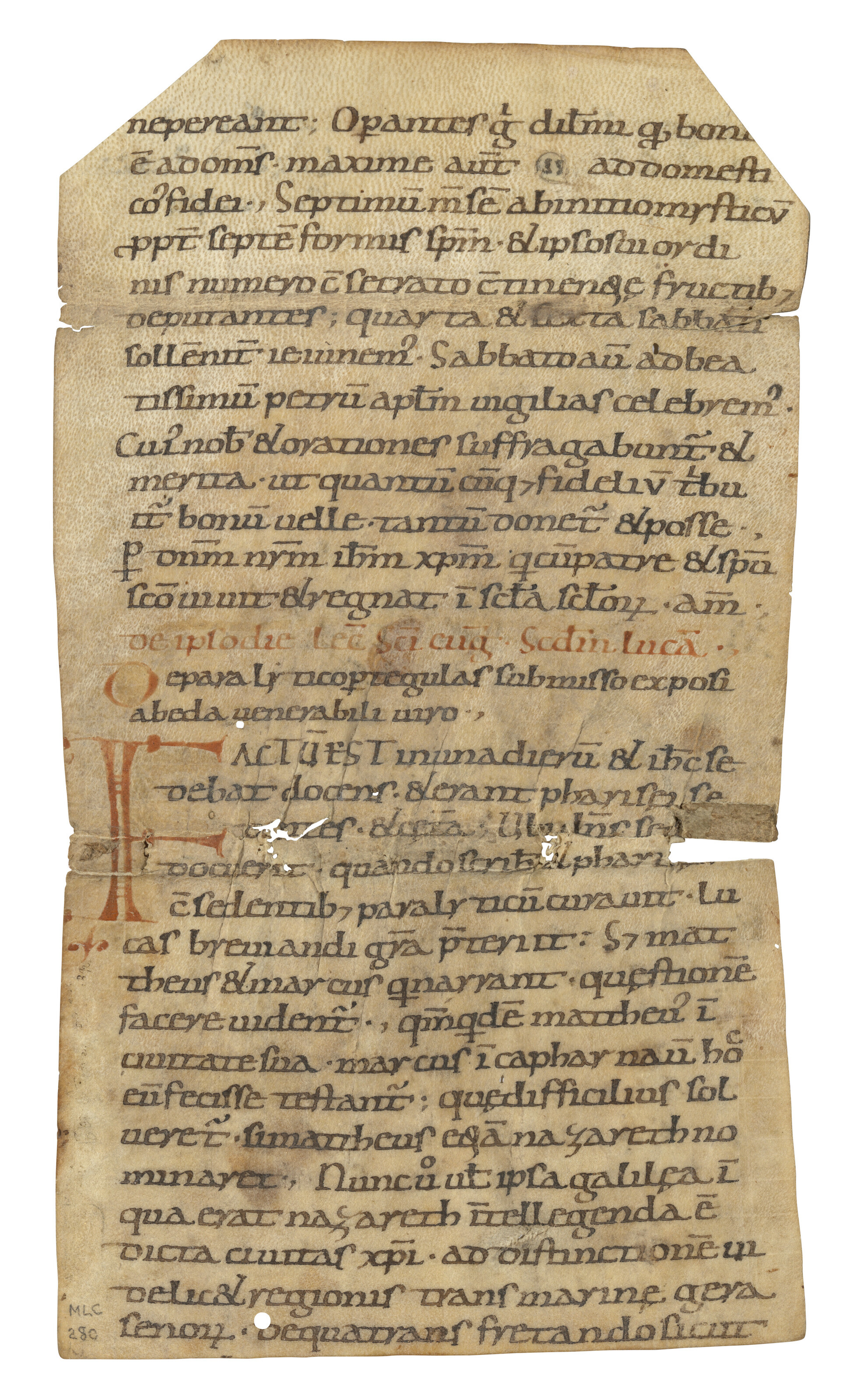 A Homiliary written in Farfa-type minuscule, Fragment of a Homiliary in ...