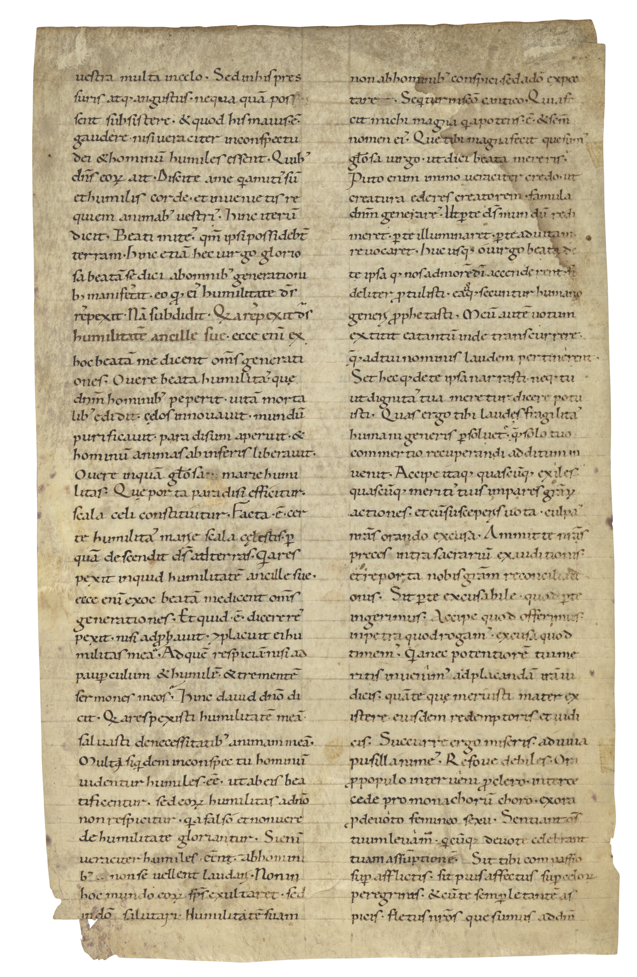 Ps.-Autpert Ambrose, A leaf from Sermo De Assumptione Sanctae Mariae ...