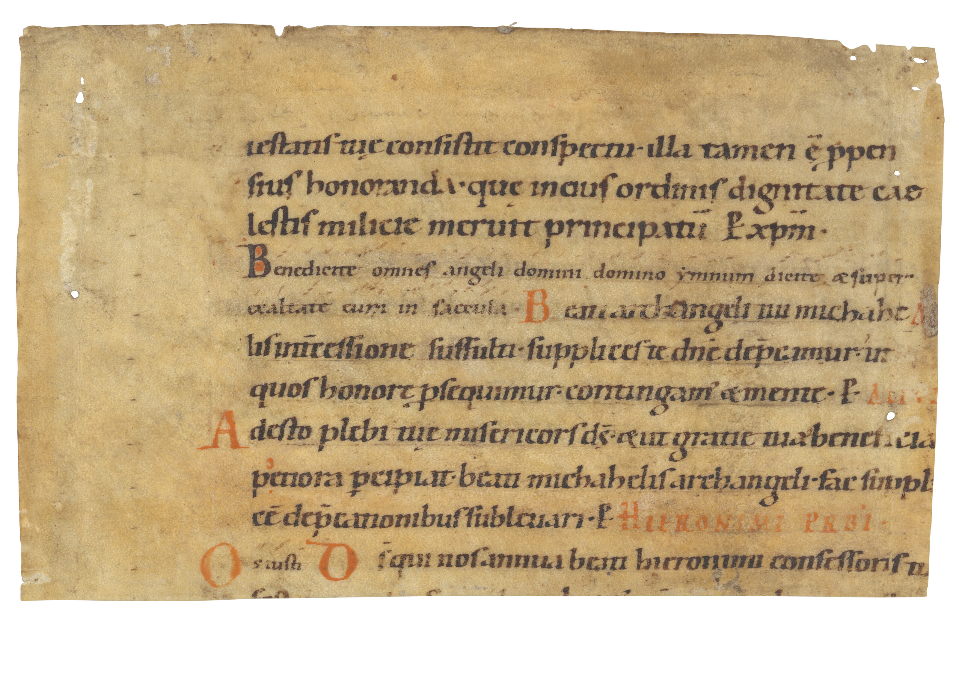 Early German leaves, GERMANY: a study collection of leaves and ...