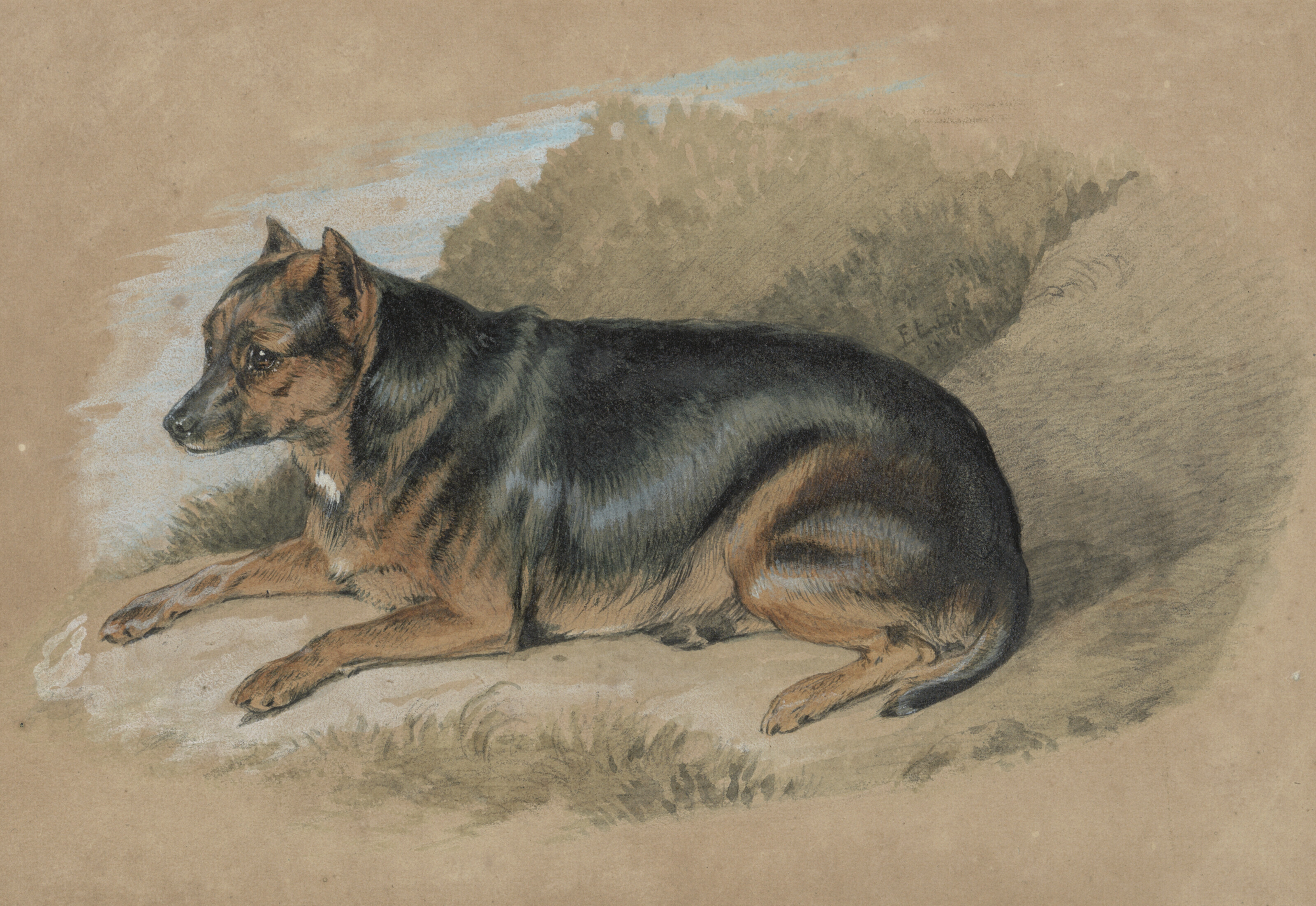 SIR EDWIN HENRY LANDSEER, R.A. (LONDON 1802-1873), A study of the ...