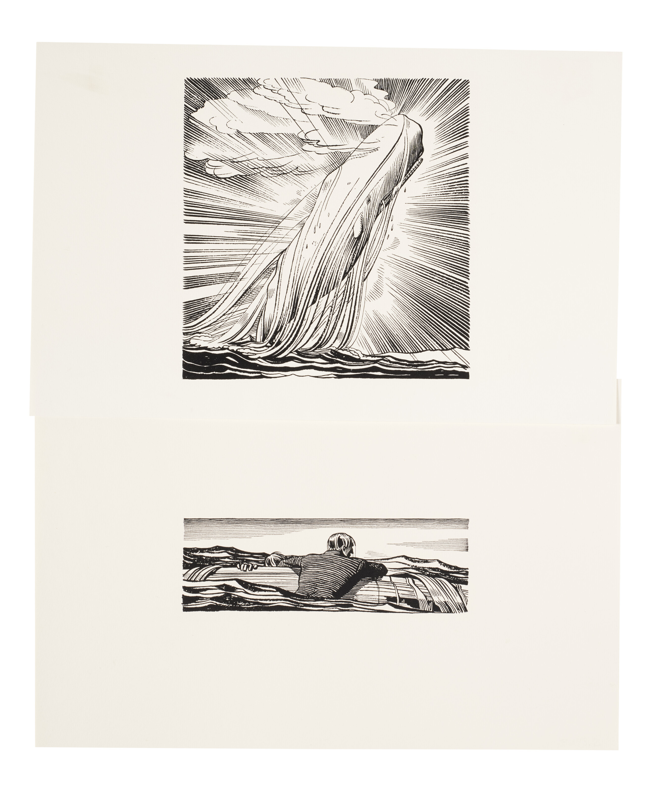 Moby Dick Illustrations