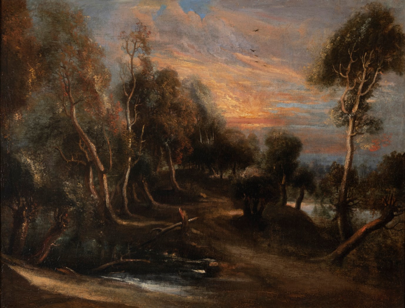 SIR PETER PAUL RUBENS (SIEGEN 1577-1640 ANTWERP), A wooded landscape at ...