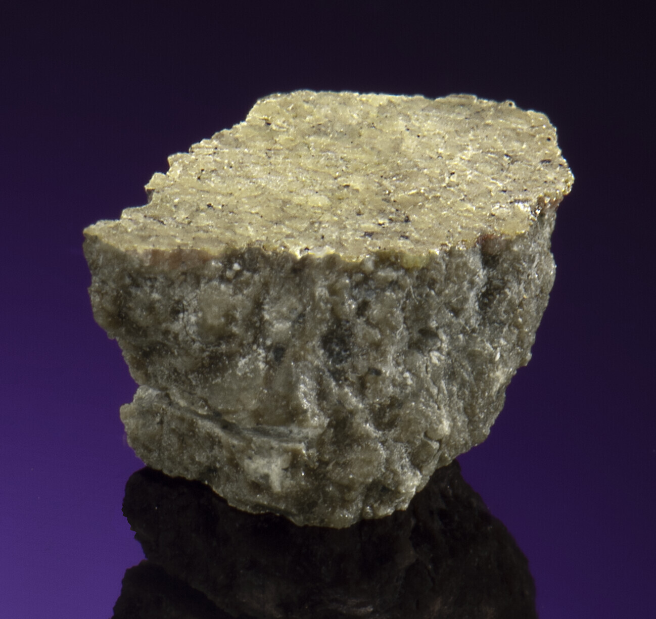 CHASSIGNY FRAGMENT FROM MARS — THE HOLY GRAIL OF MARTIAN METEORITES ...