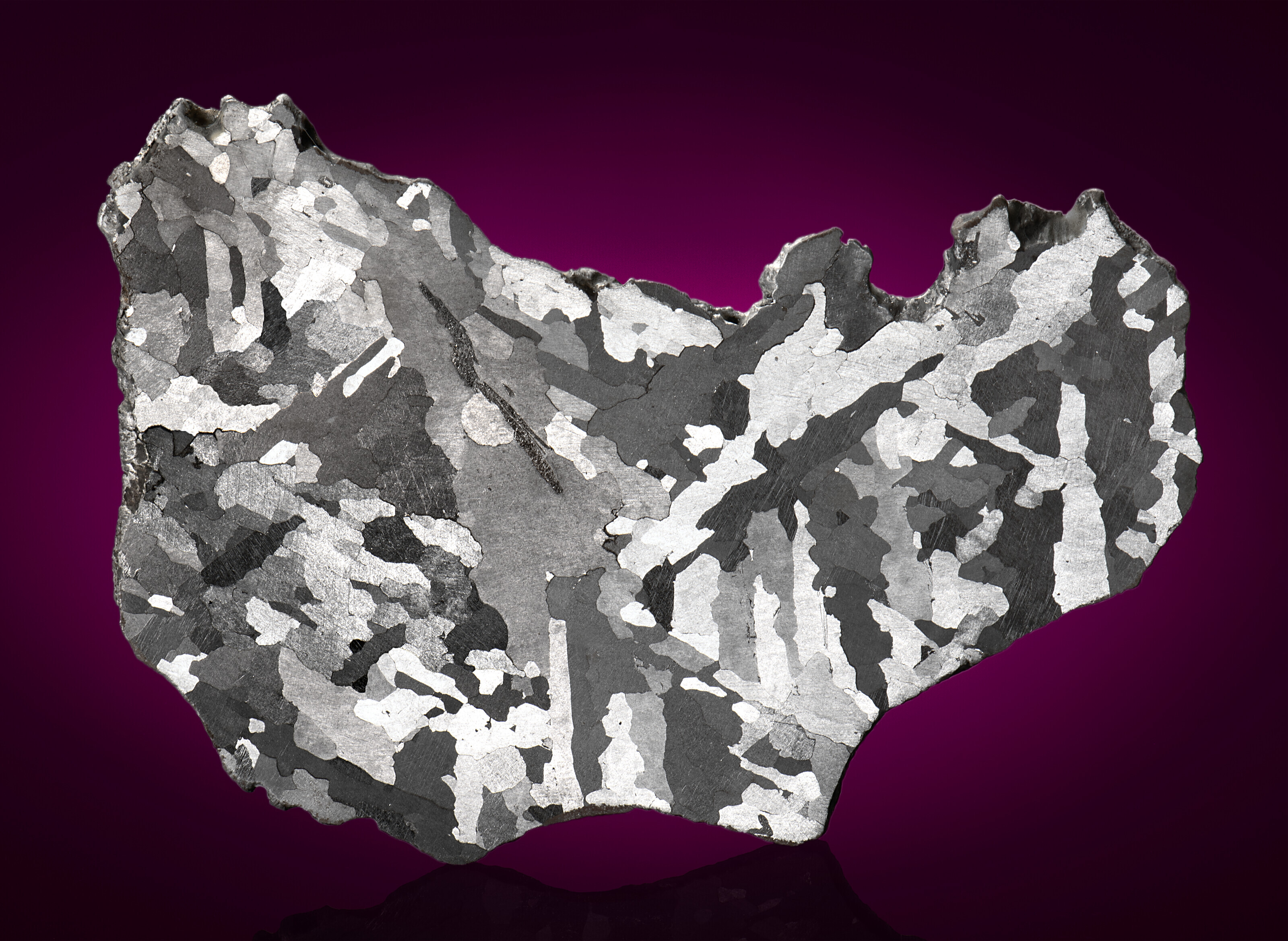 CAMPO DEL CIELO METEORITE — COMPLETE SLICE, Iron, coarse octahedrite ...