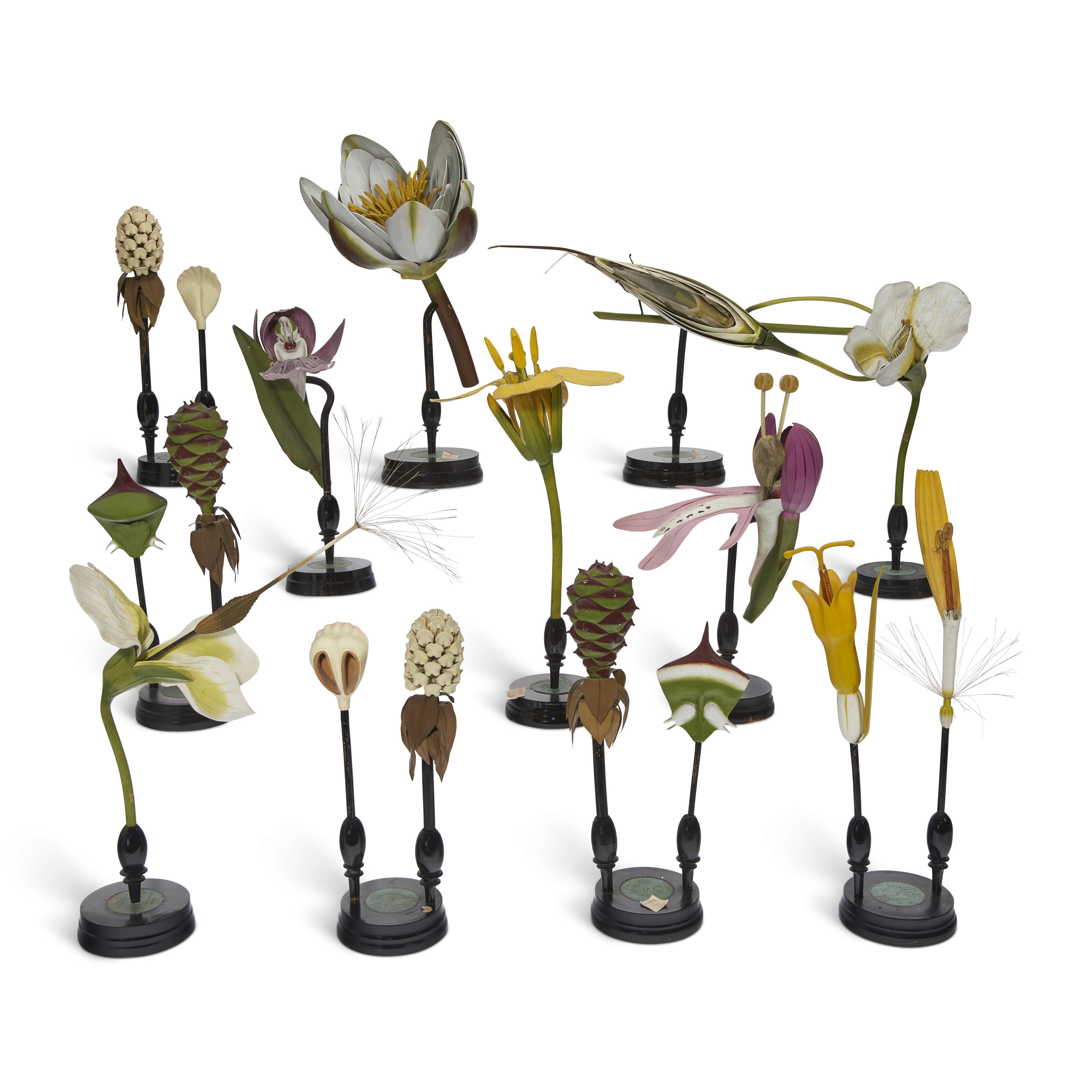 A GROUP OF CARVED WOOD MODELS OF BOTANICAL SPECIMENS, CIRCA 1890 ...