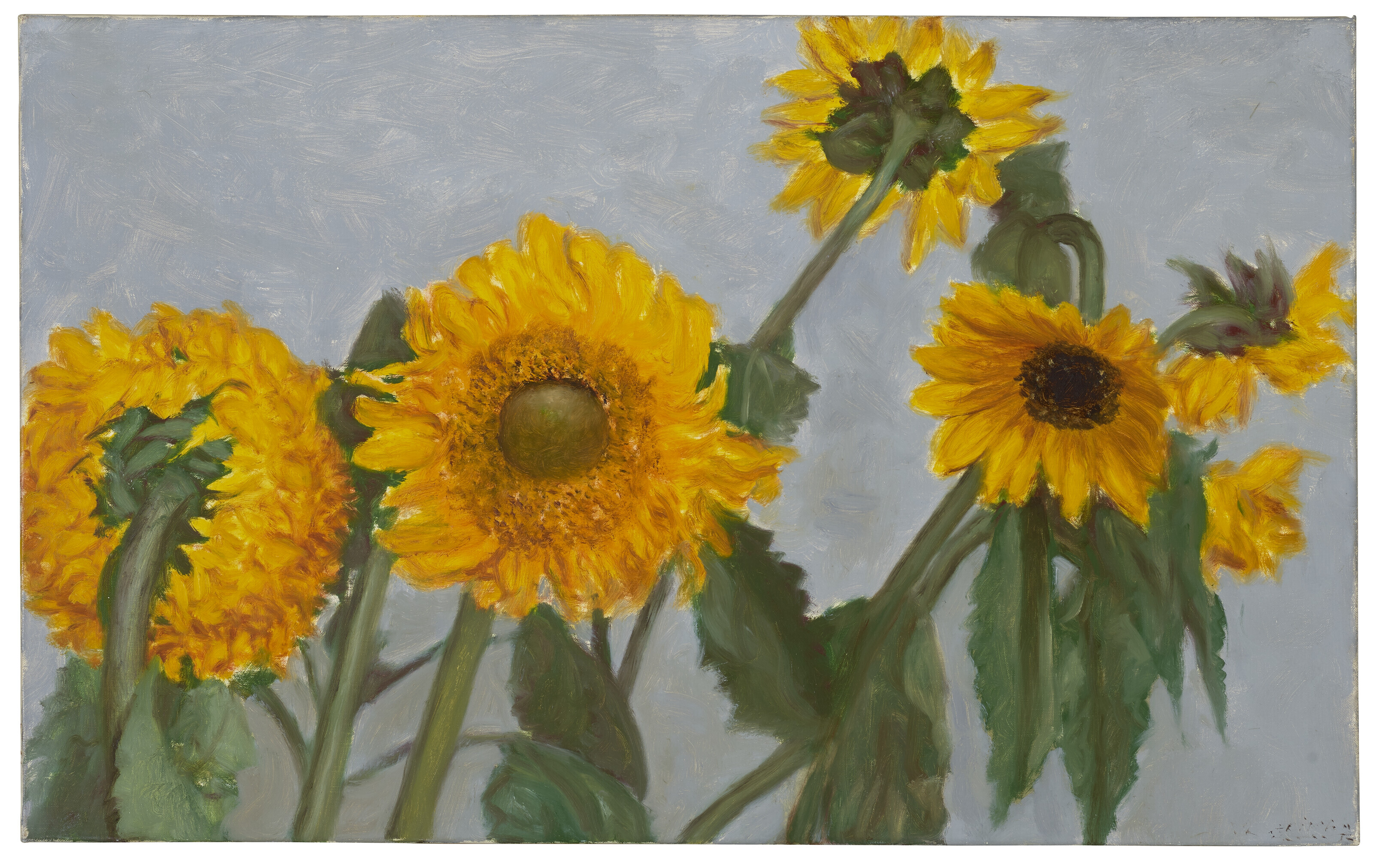 AVIGDOR ARIKHA (b. 1929-2010), Sunflowers | Christie’s